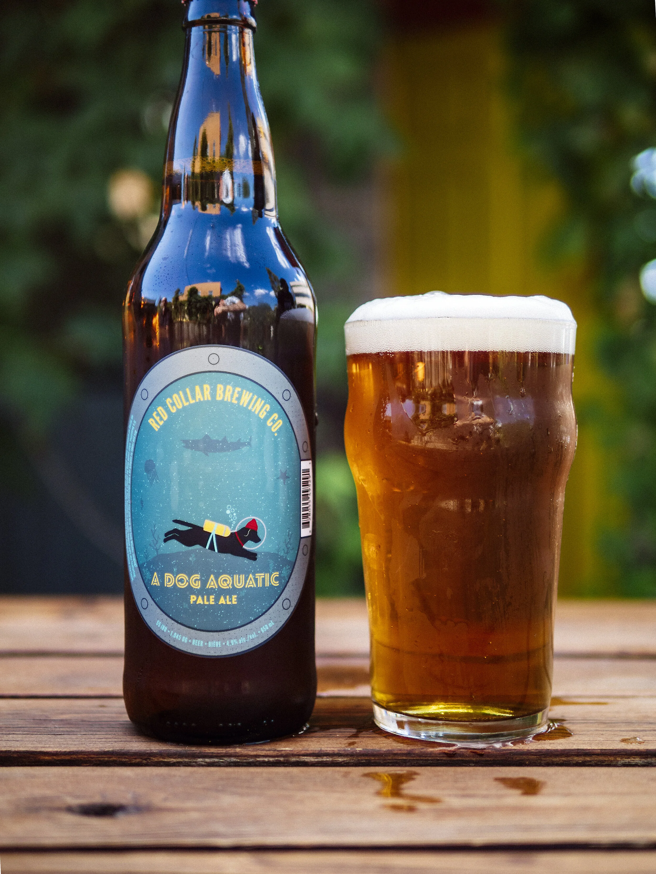 Shop — Red Collar Brewing & Distilling Co.