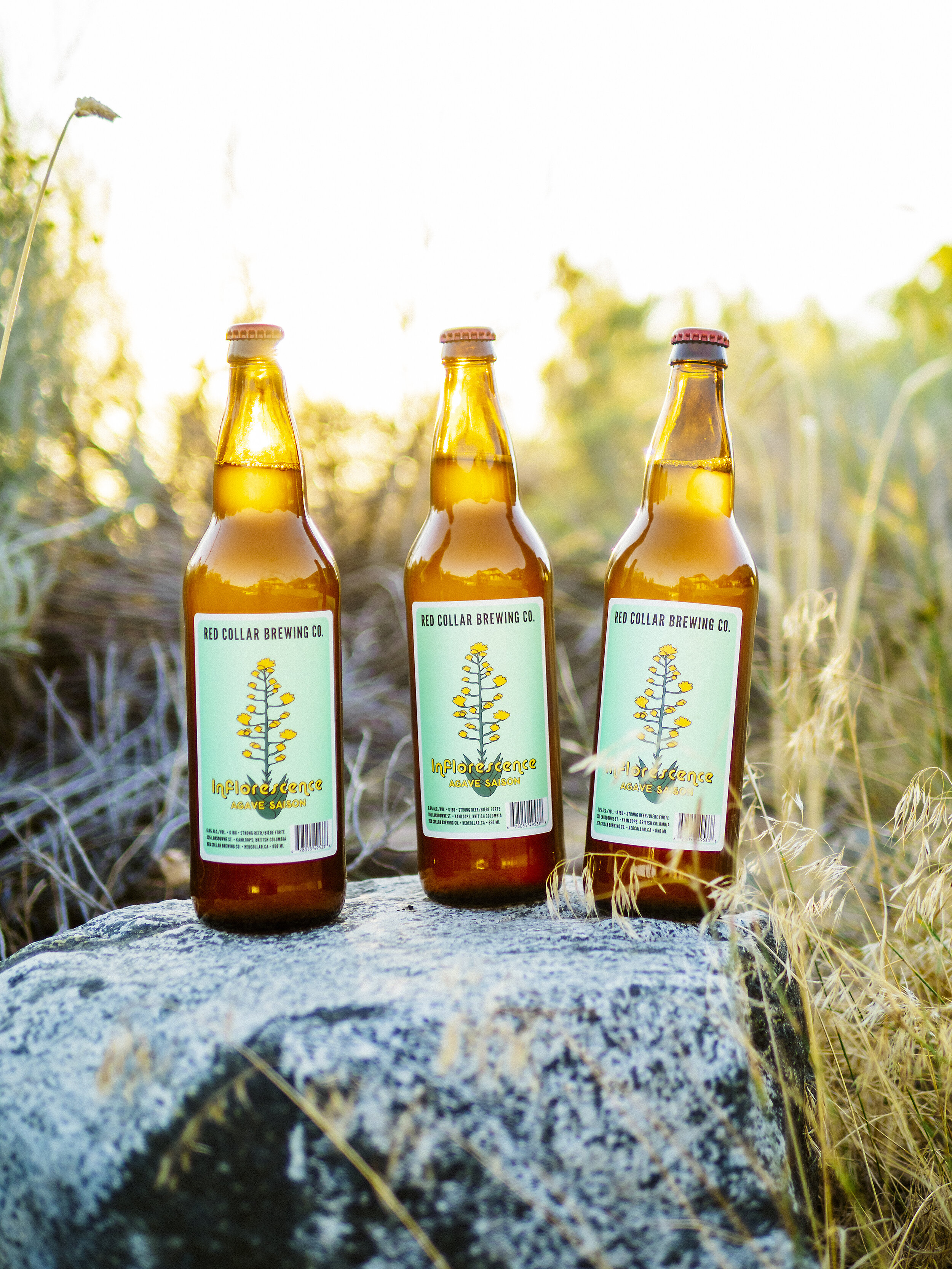 Shop — Red Collar Brewing & Distilling Co.