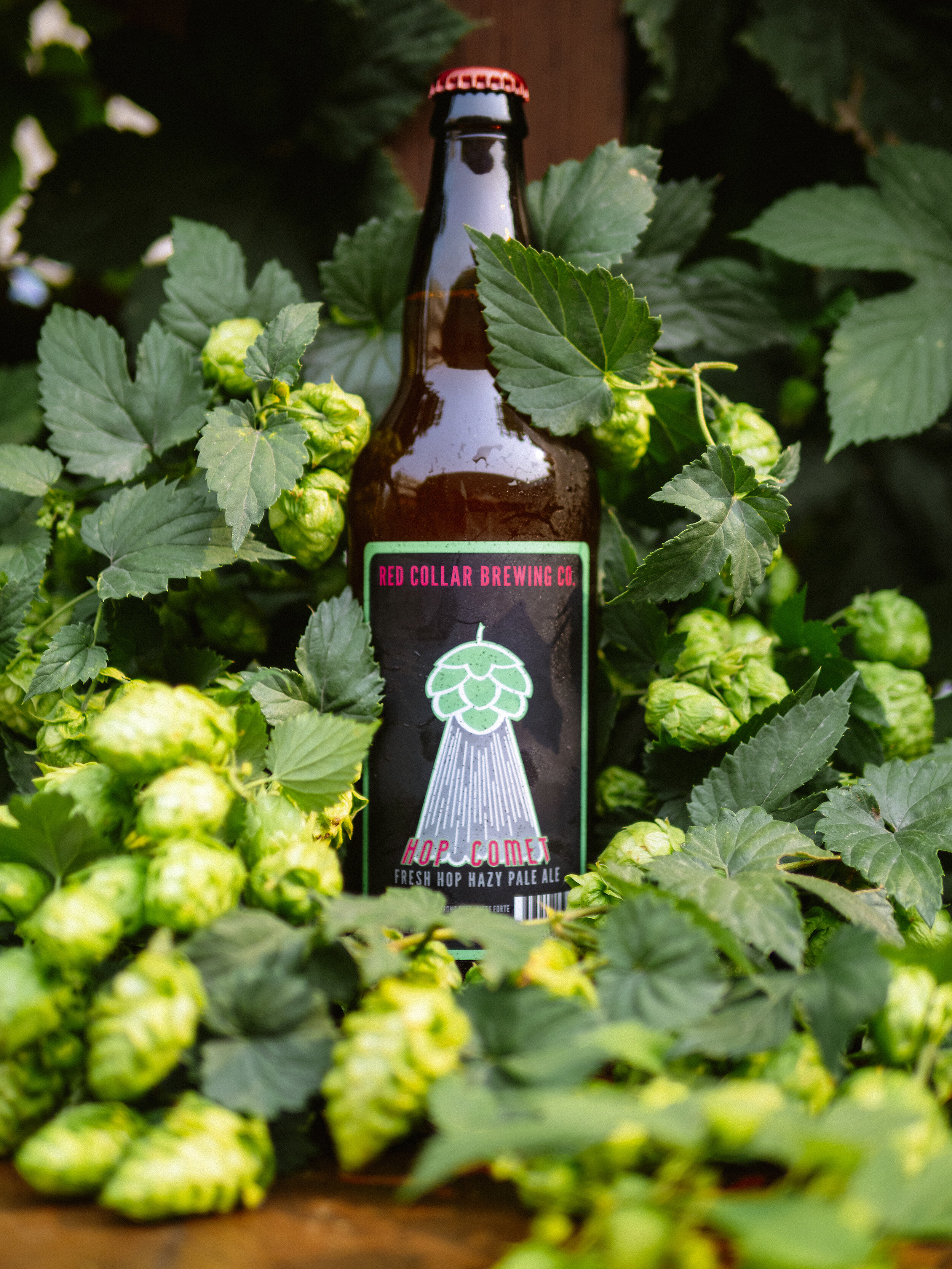 Shop — Red Collar Brewing & Distilling Co.