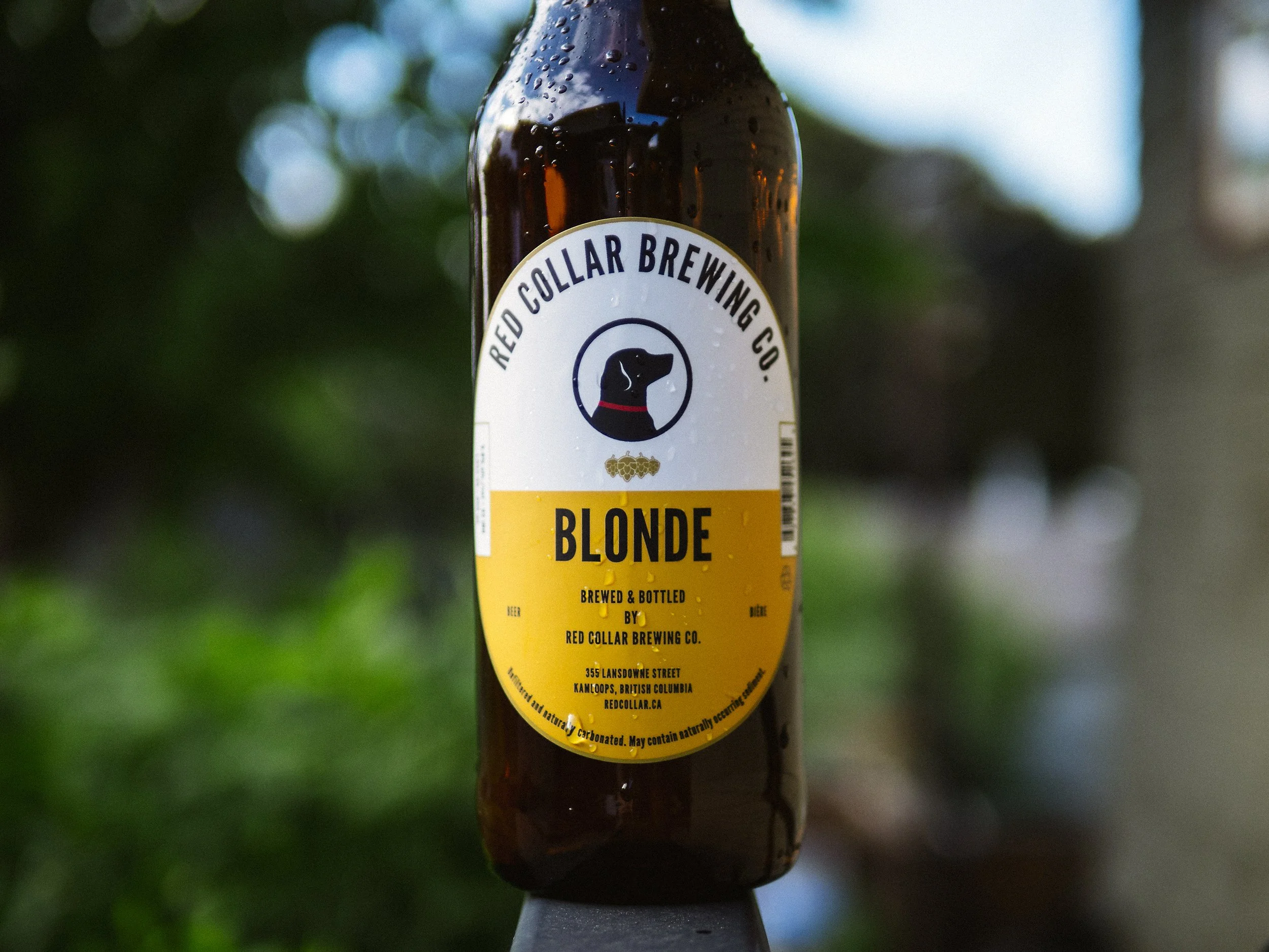 Shop — Red Collar Brewing & Distilling Co.
