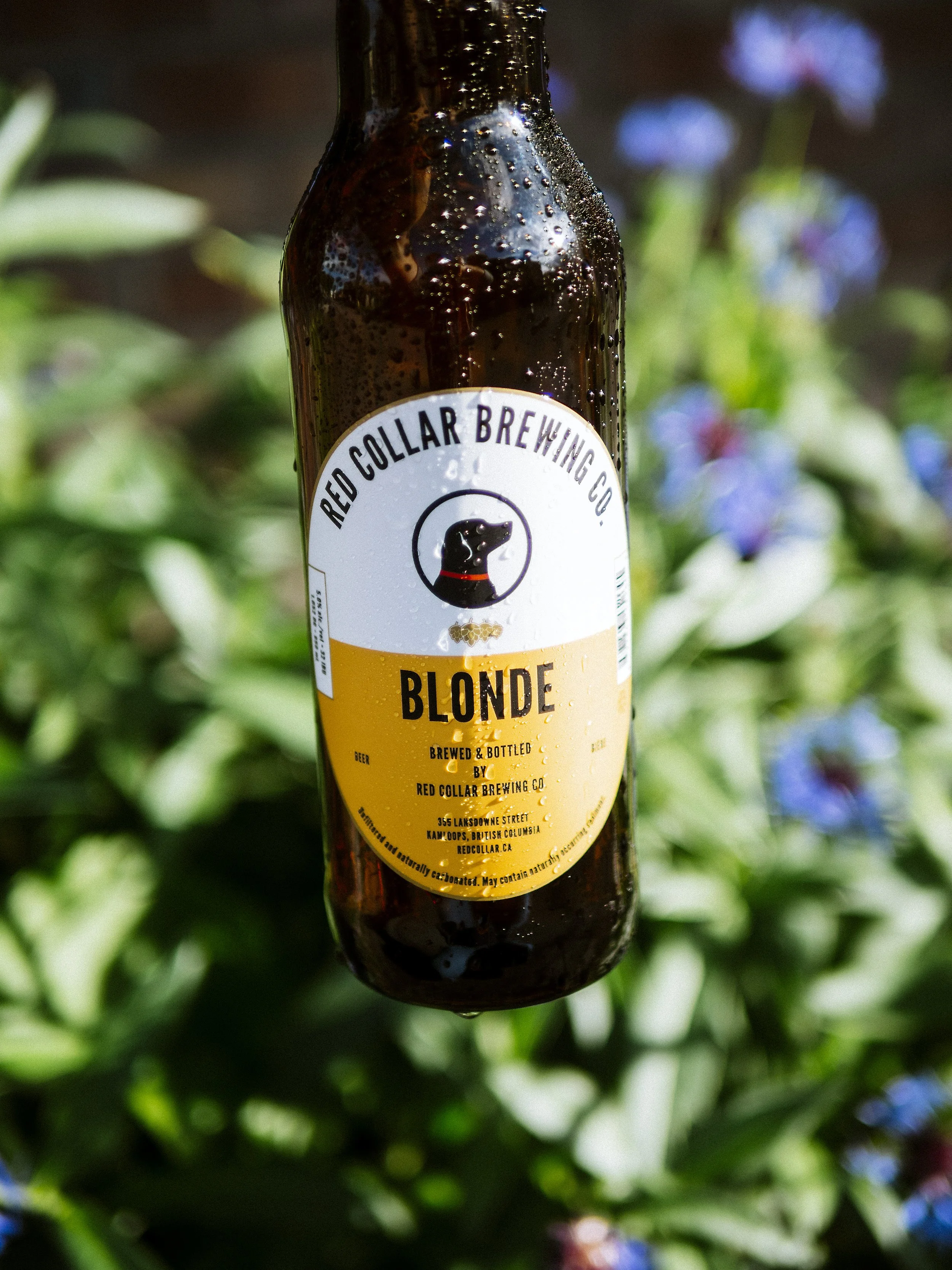Shop — Red Collar Brewing & Distilling Co.