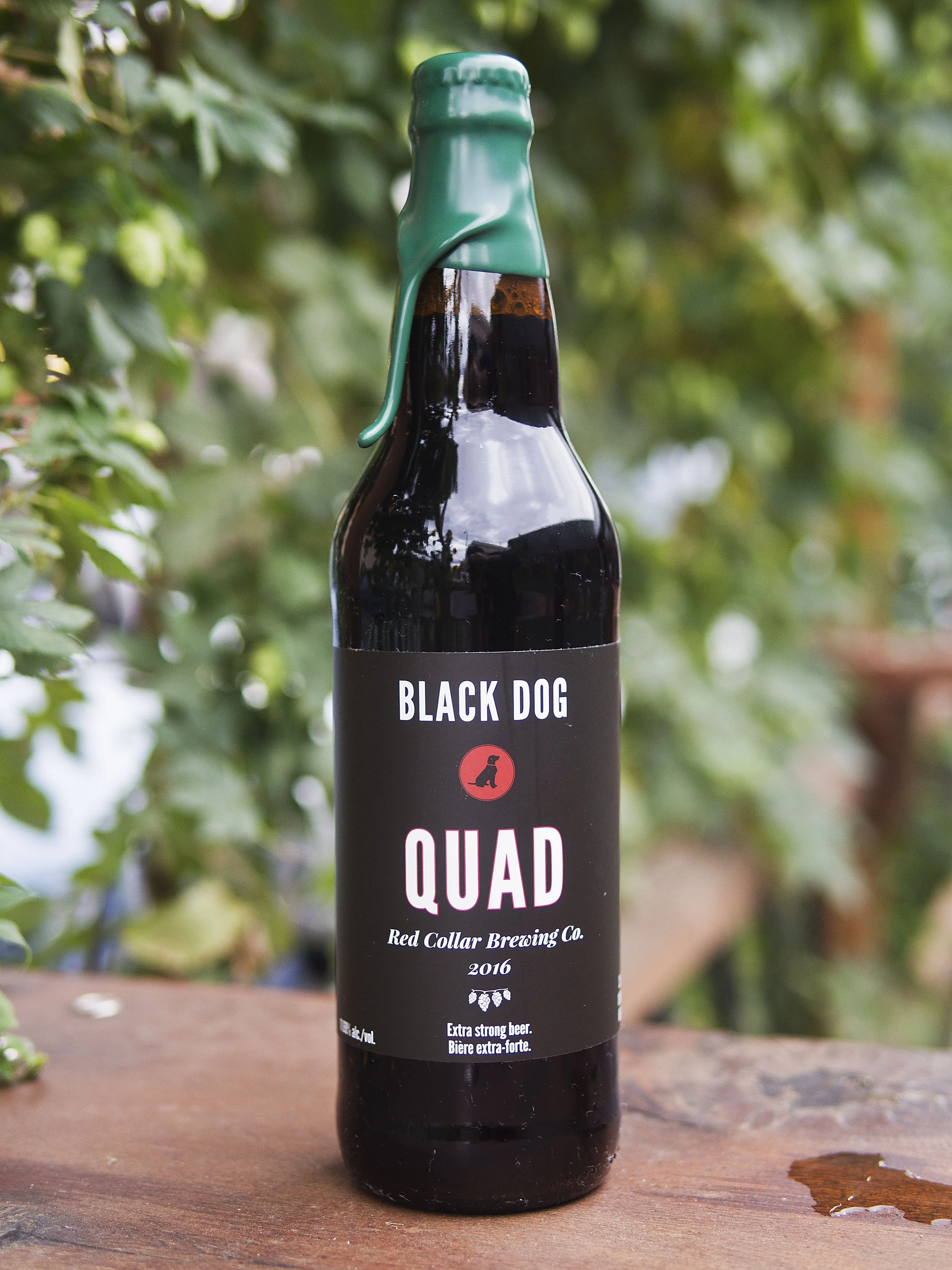 Shop — Red Collar Brewing & Distilling Co.