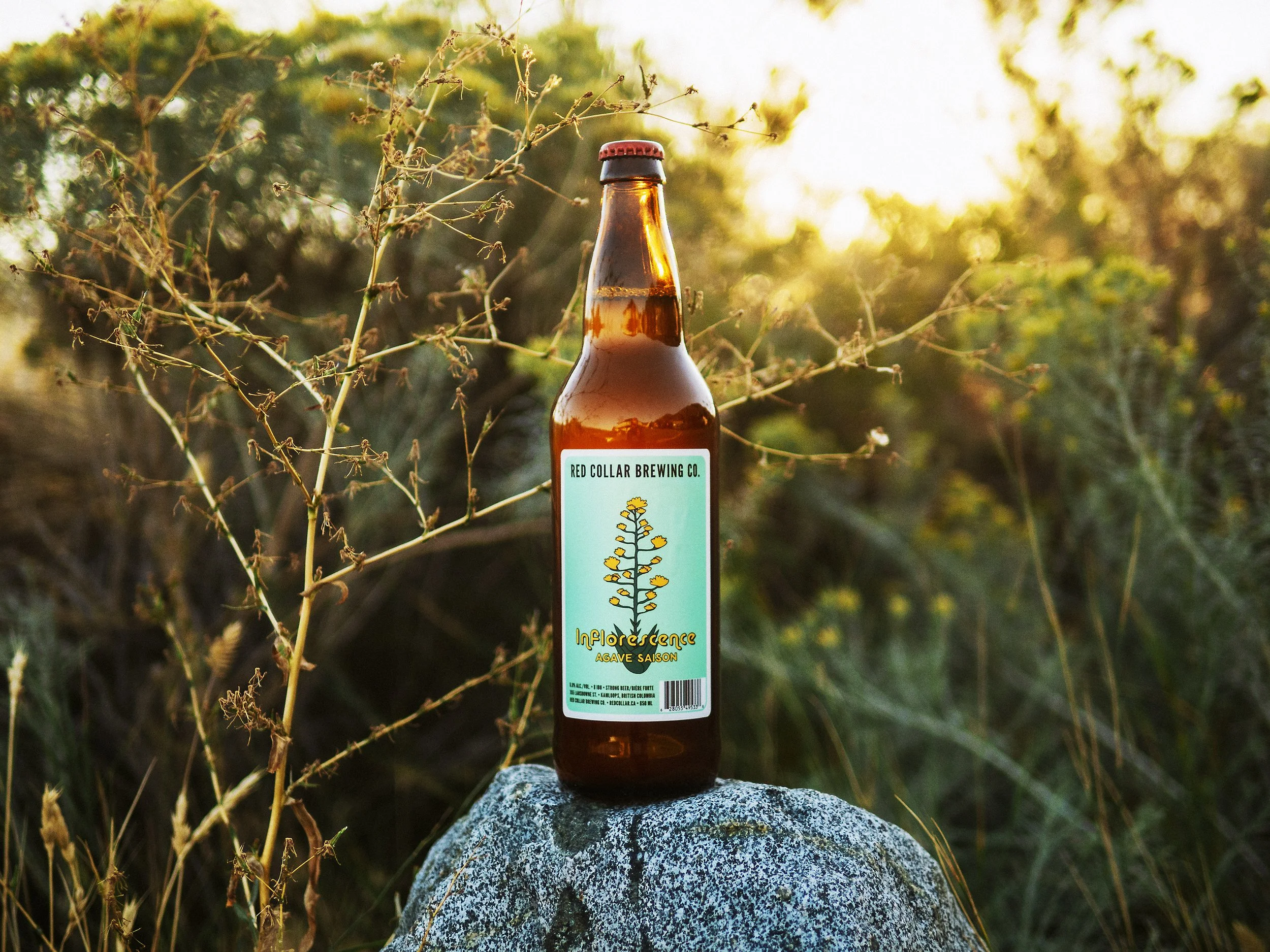 Shop — Red Collar Brewing & Distilling Co.