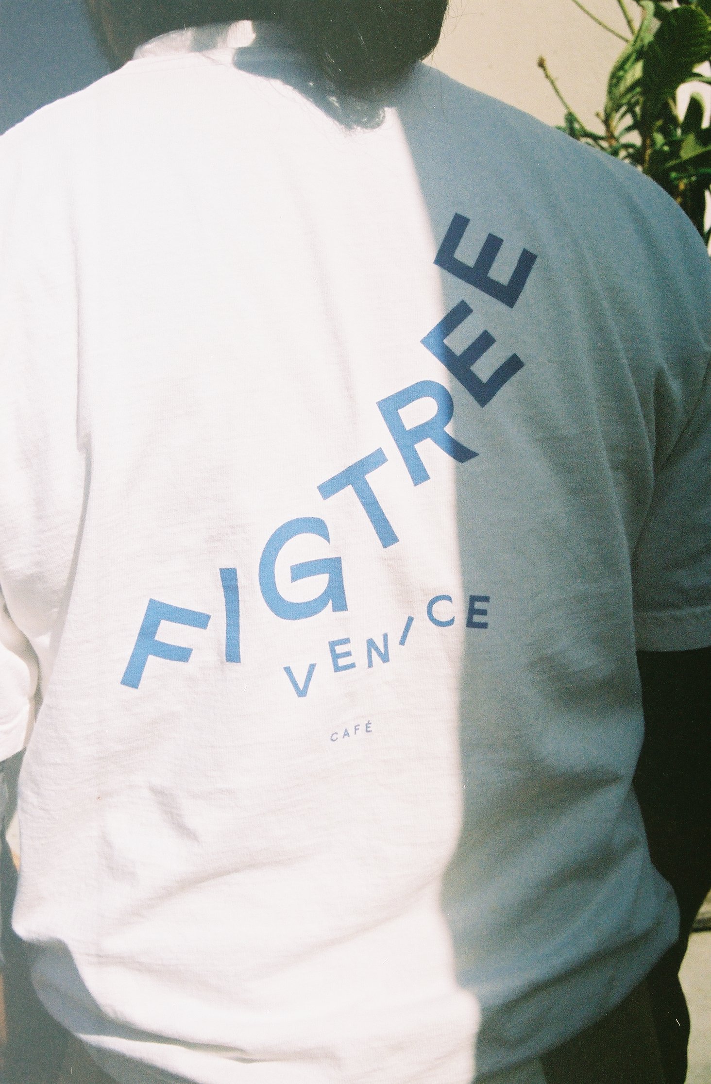 Fig Tree - ocean view sunset dining at Fig Tree Cafe, Venice CA