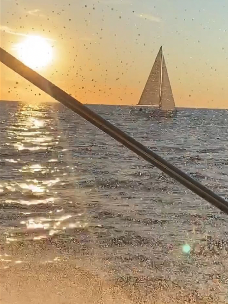 Fig Tree - ocean view sunset dining at Fig Tree Cafe, Venice CA