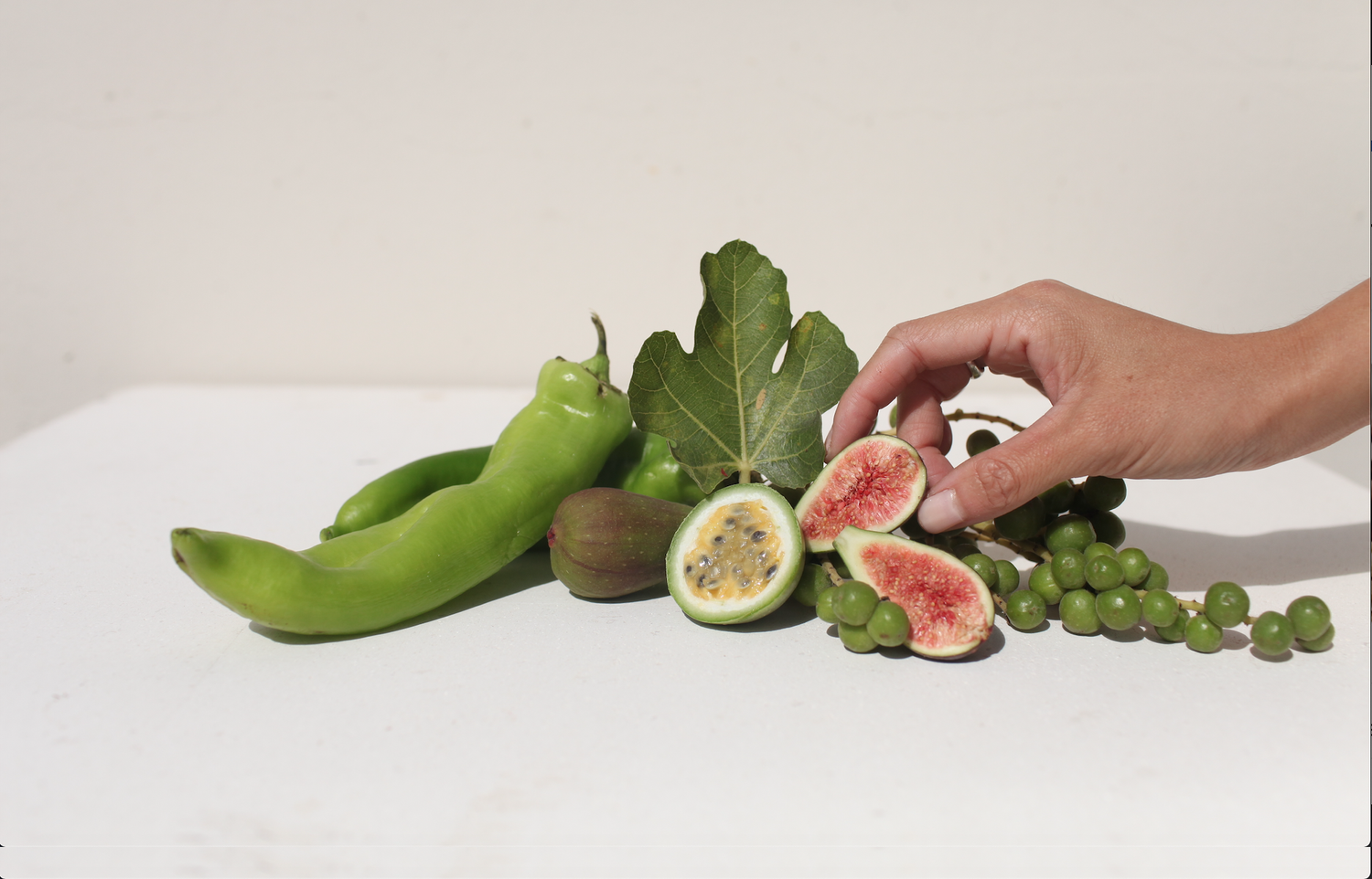 FIG TREE | Oceanfront Coastal Dining | Venice CA