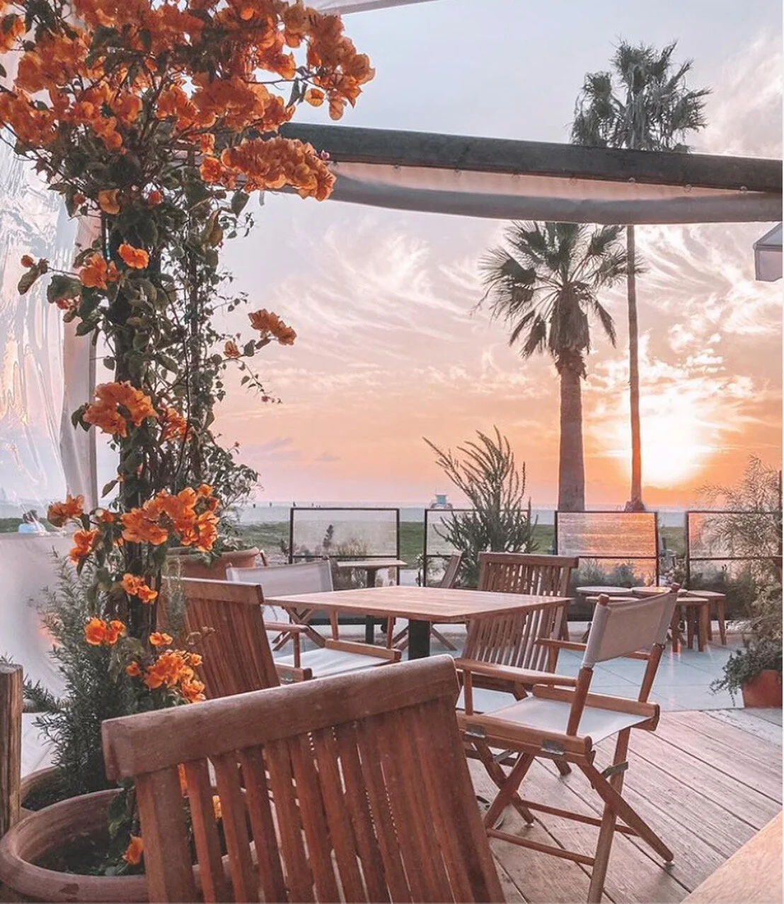 Fig Tree - ocean view sunset dining at Fig Tree Cafe, Venice CA