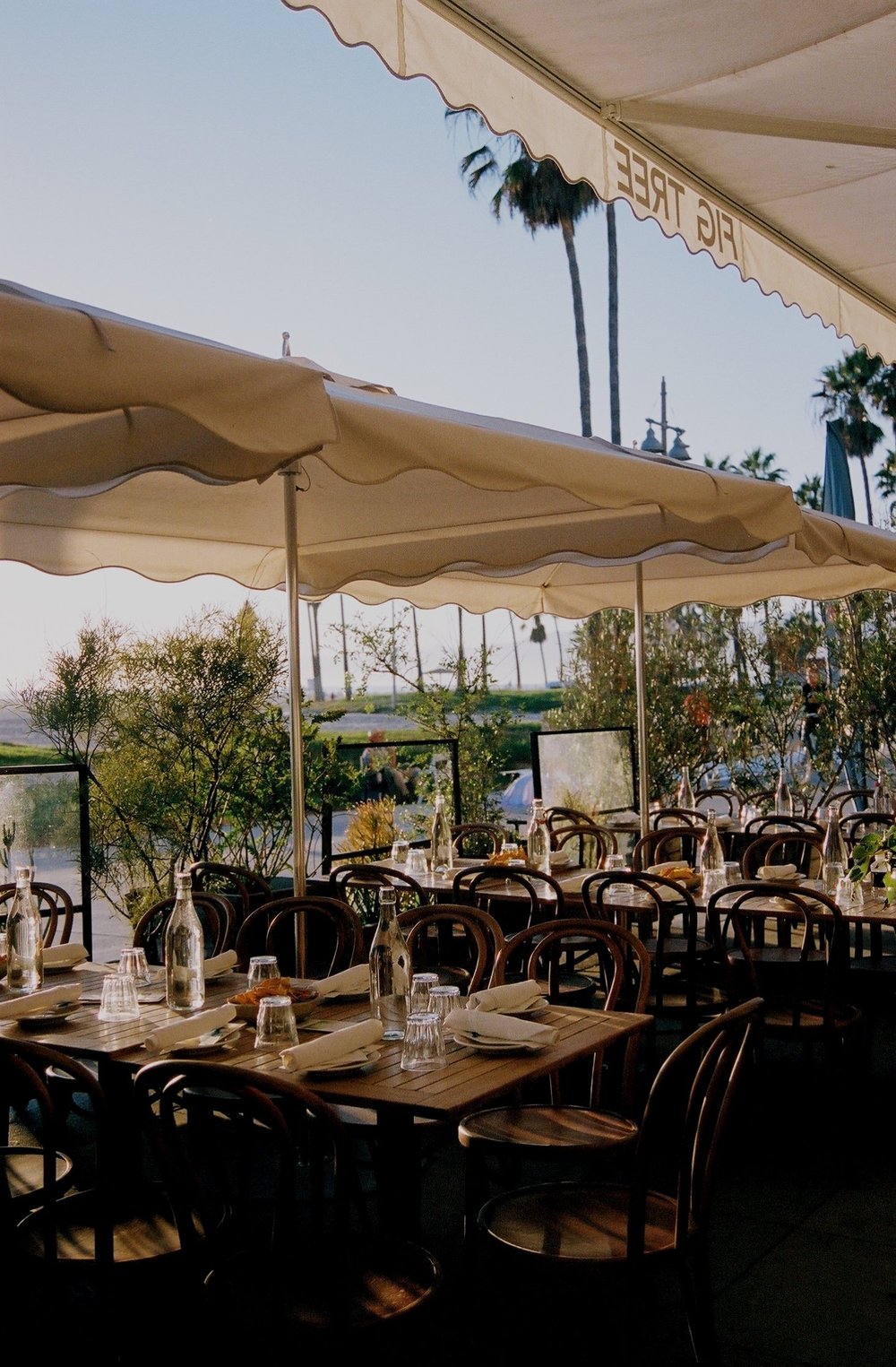 FIG TREE | Events, Parties and Private Dining