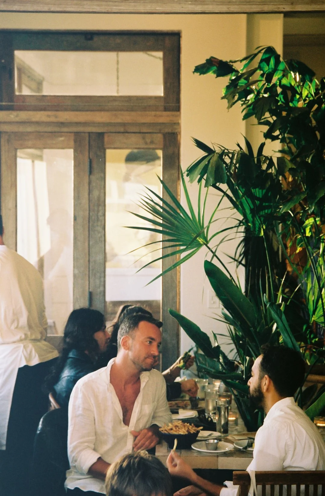 Fig Tree - ocean view sunset dining at Fig Tree Cafe, Venice CA