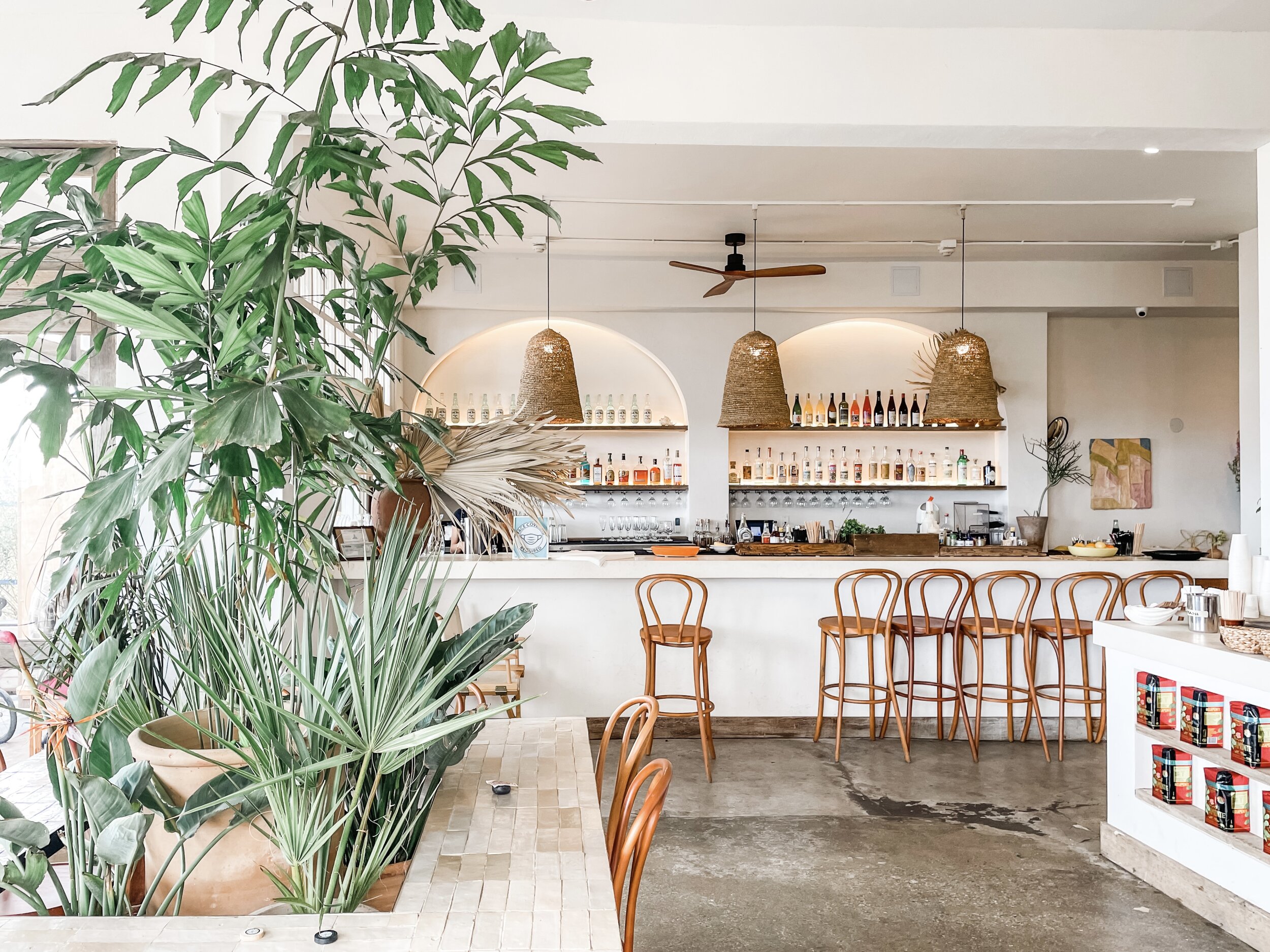 Fig Tree - ocean view sunset dining at Fig Tree Cafe, Venice CA