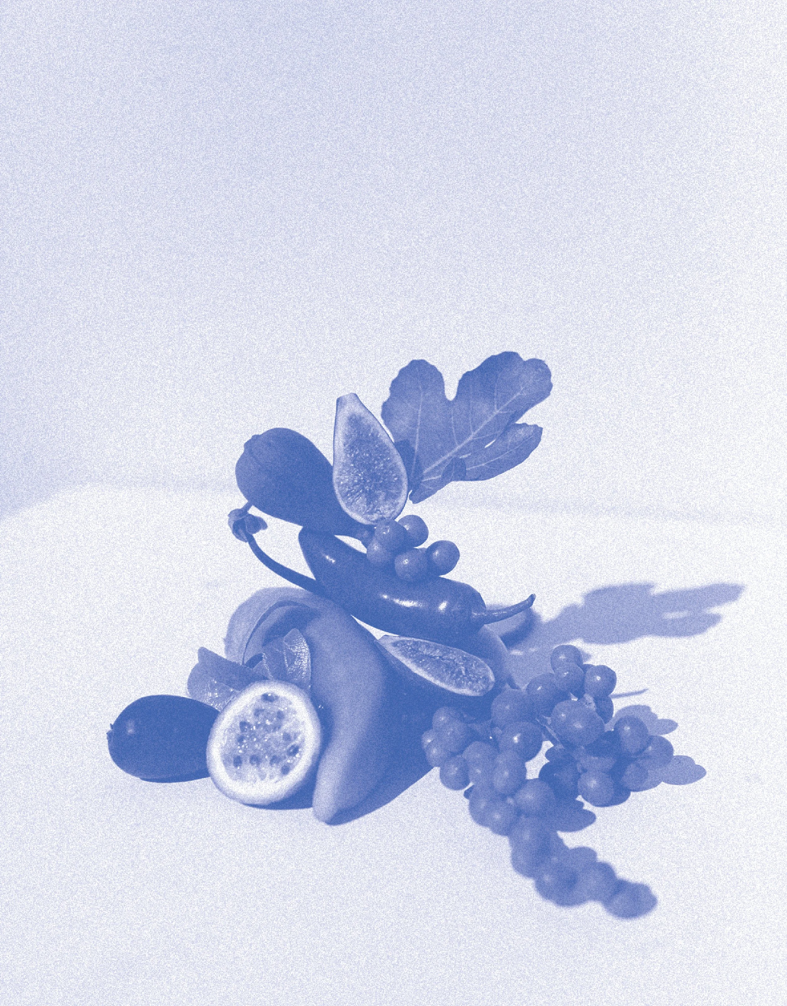 FIG TREE | Oceanfront Coastal Dining | Venice CA