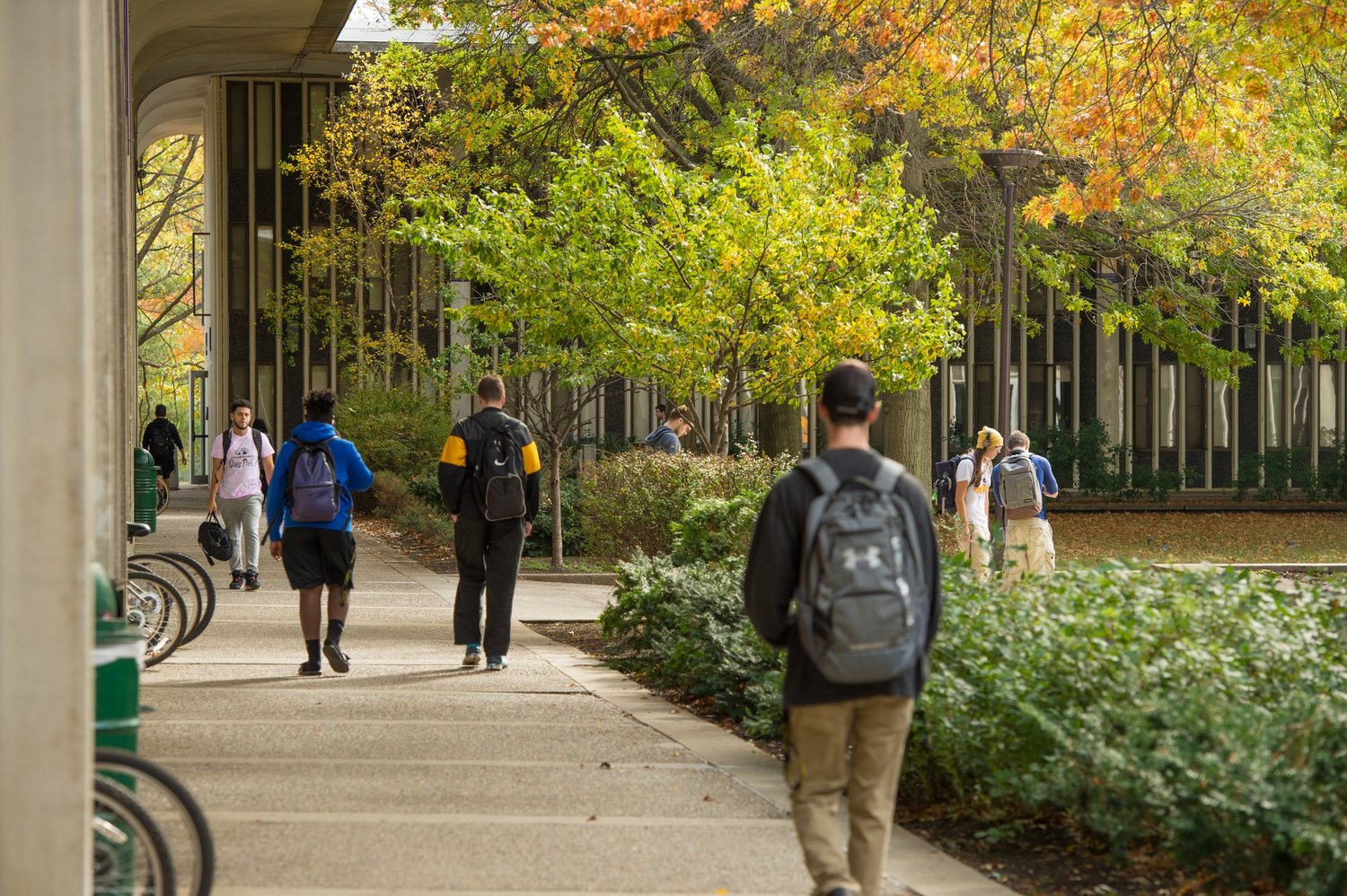 Indigenous Quad — Student Association