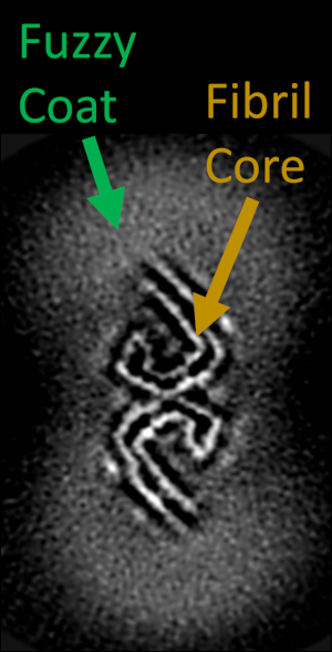 Welcome to the Chung Lab!