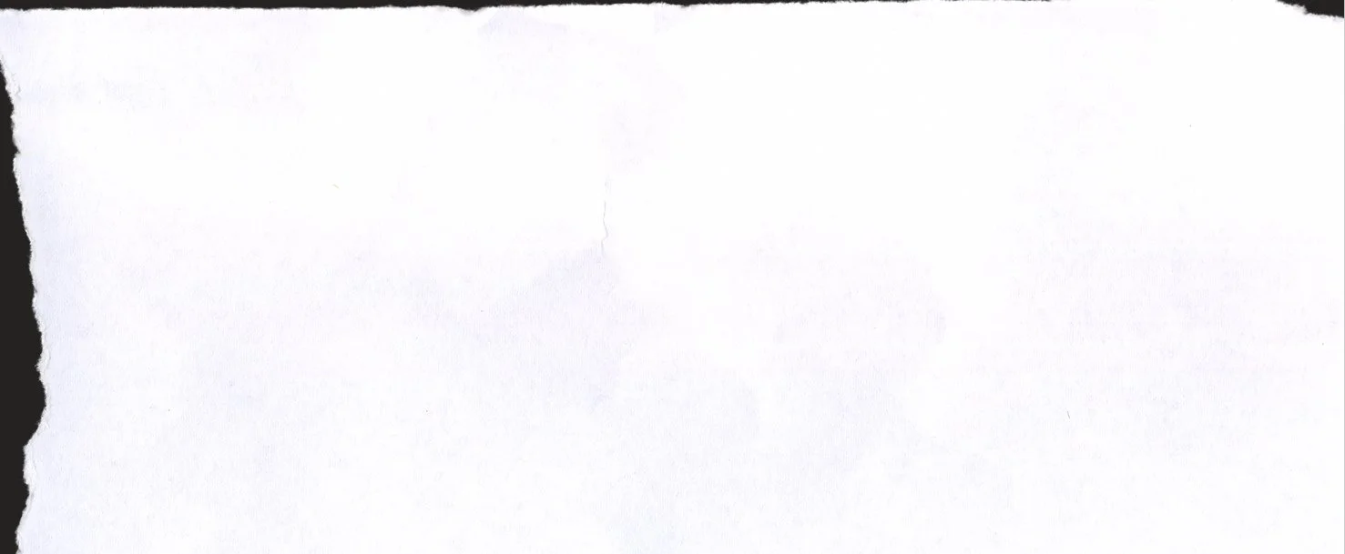 Why We Design Websites With Squarespace — Badlands Design Co.