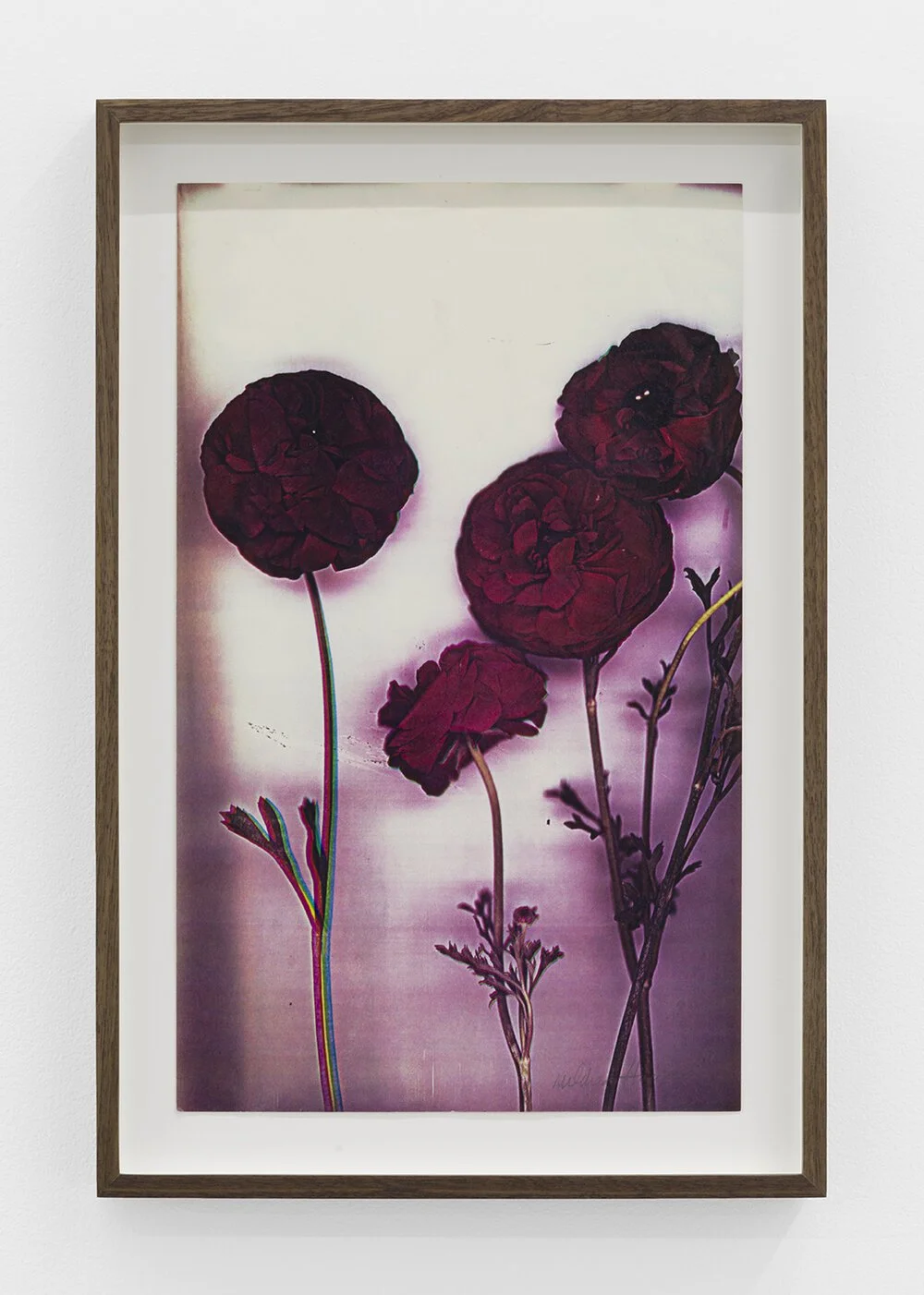 Mildred Howard — parrasch heijnen