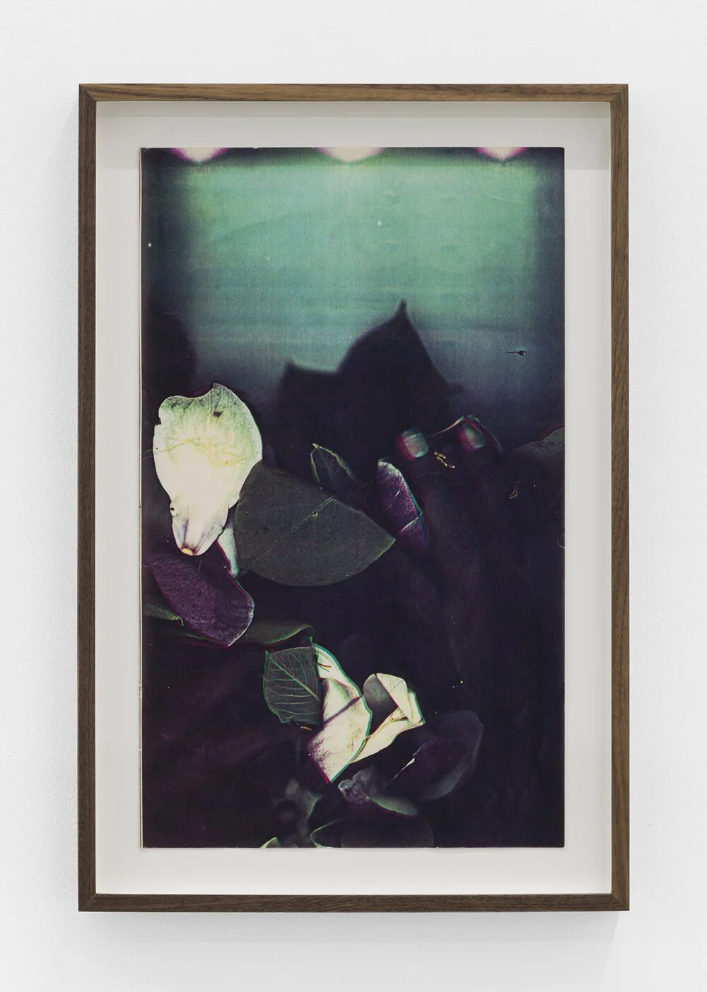 Mildred Howard — parrasch heijnen