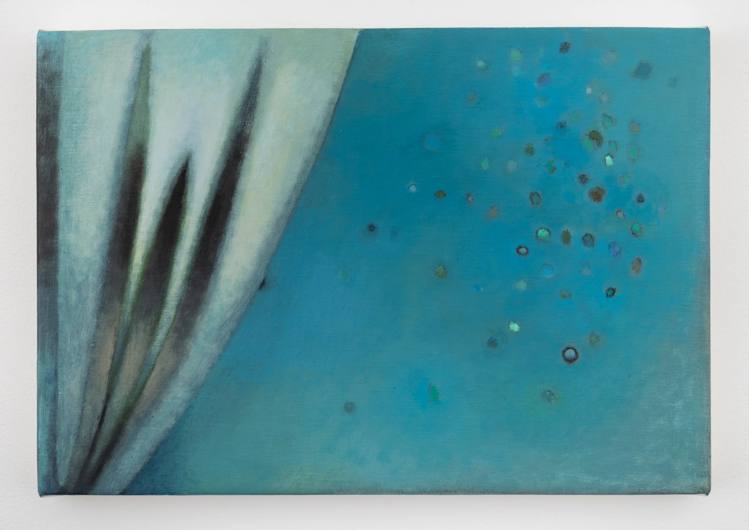 Kristy Luck — parrasch heijnen