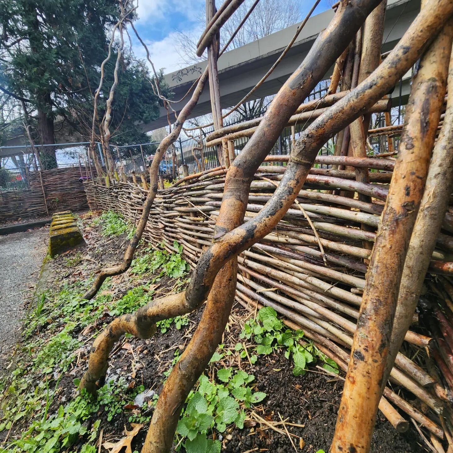 Eugene Backyard Farmer