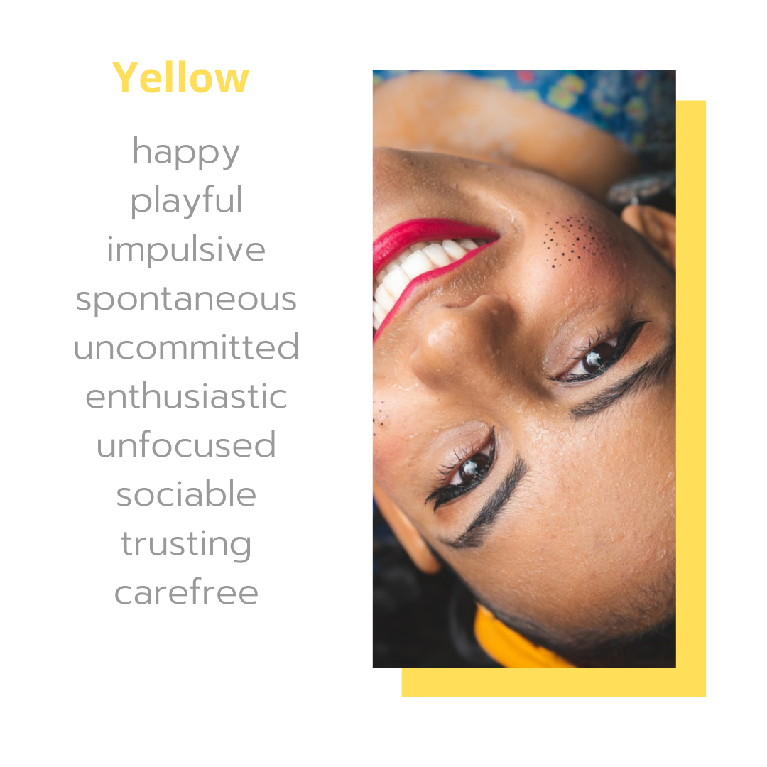 The Color Code — Root Motive Corporate Training and Team Building