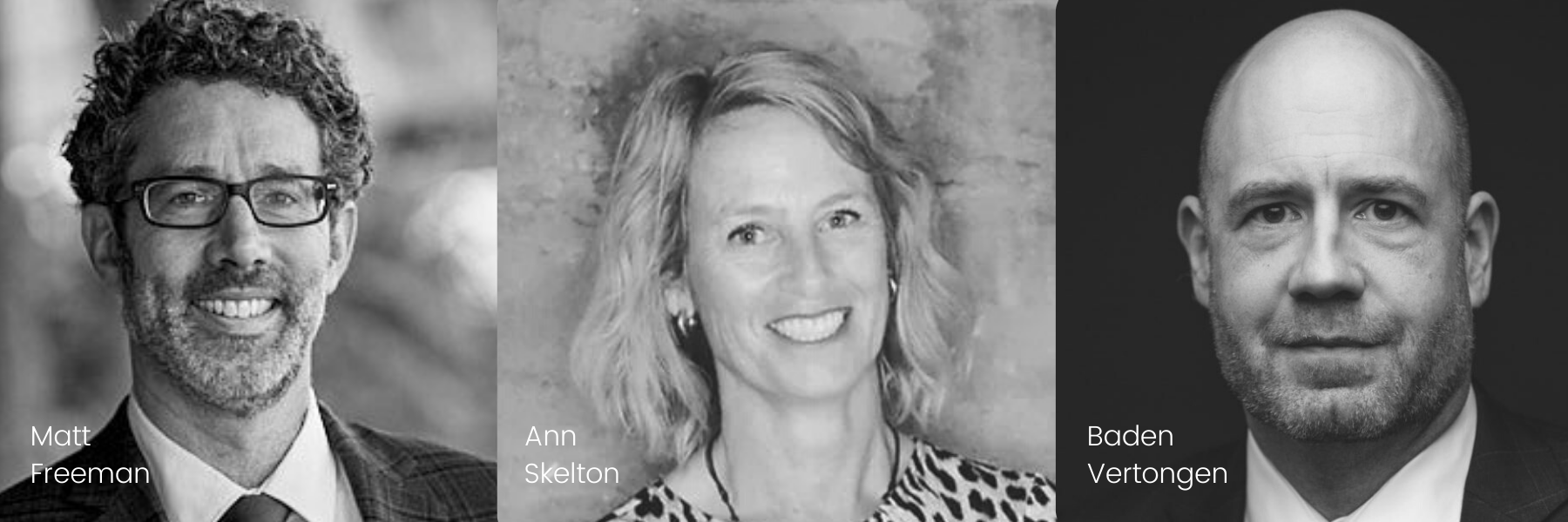 Meet our newest fellows: Matt Freeman, Ann Skelton and Baden Vertongen ...