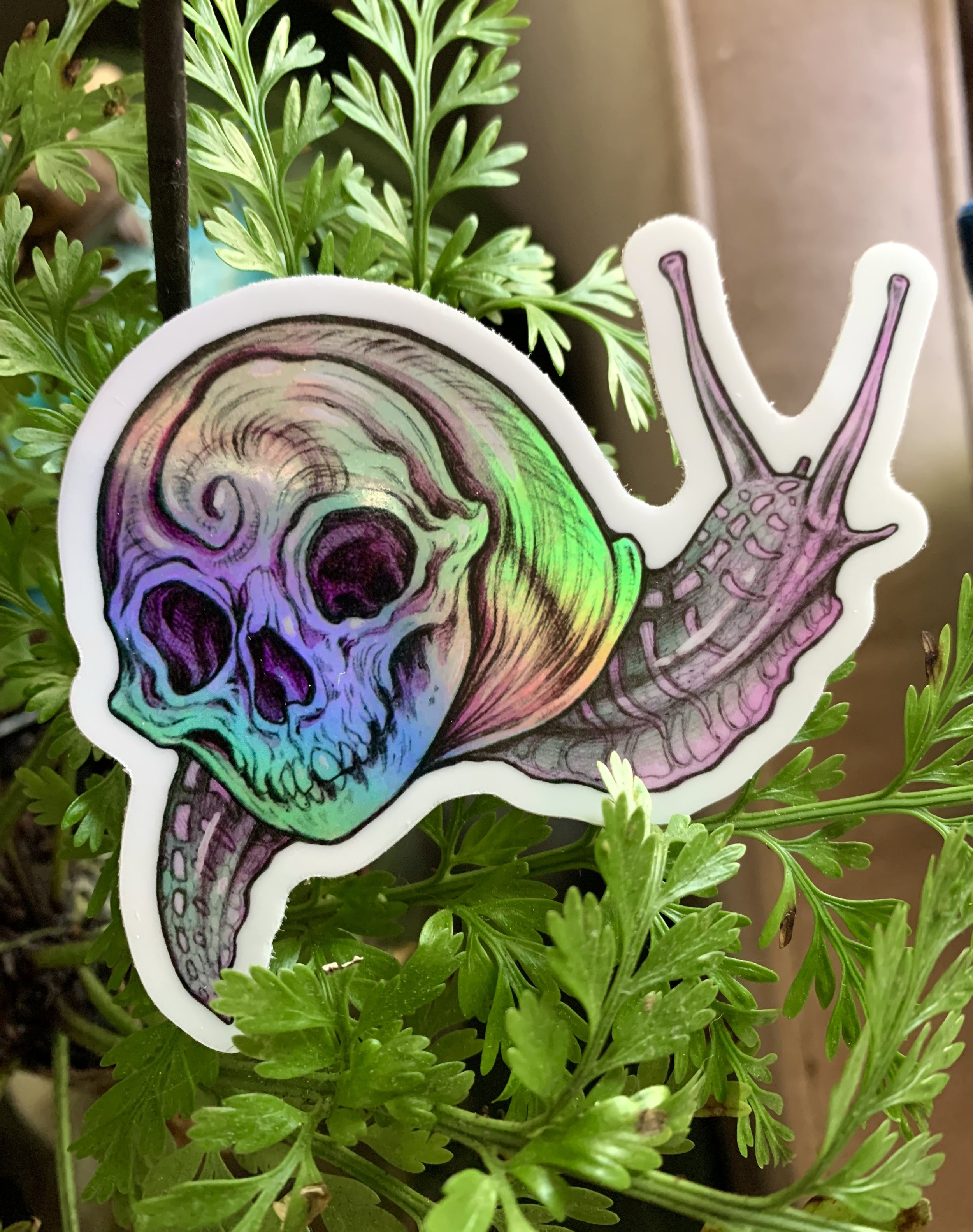 Art Shop — Contemporary Mythology - Fine Art by Caitlin Hackett