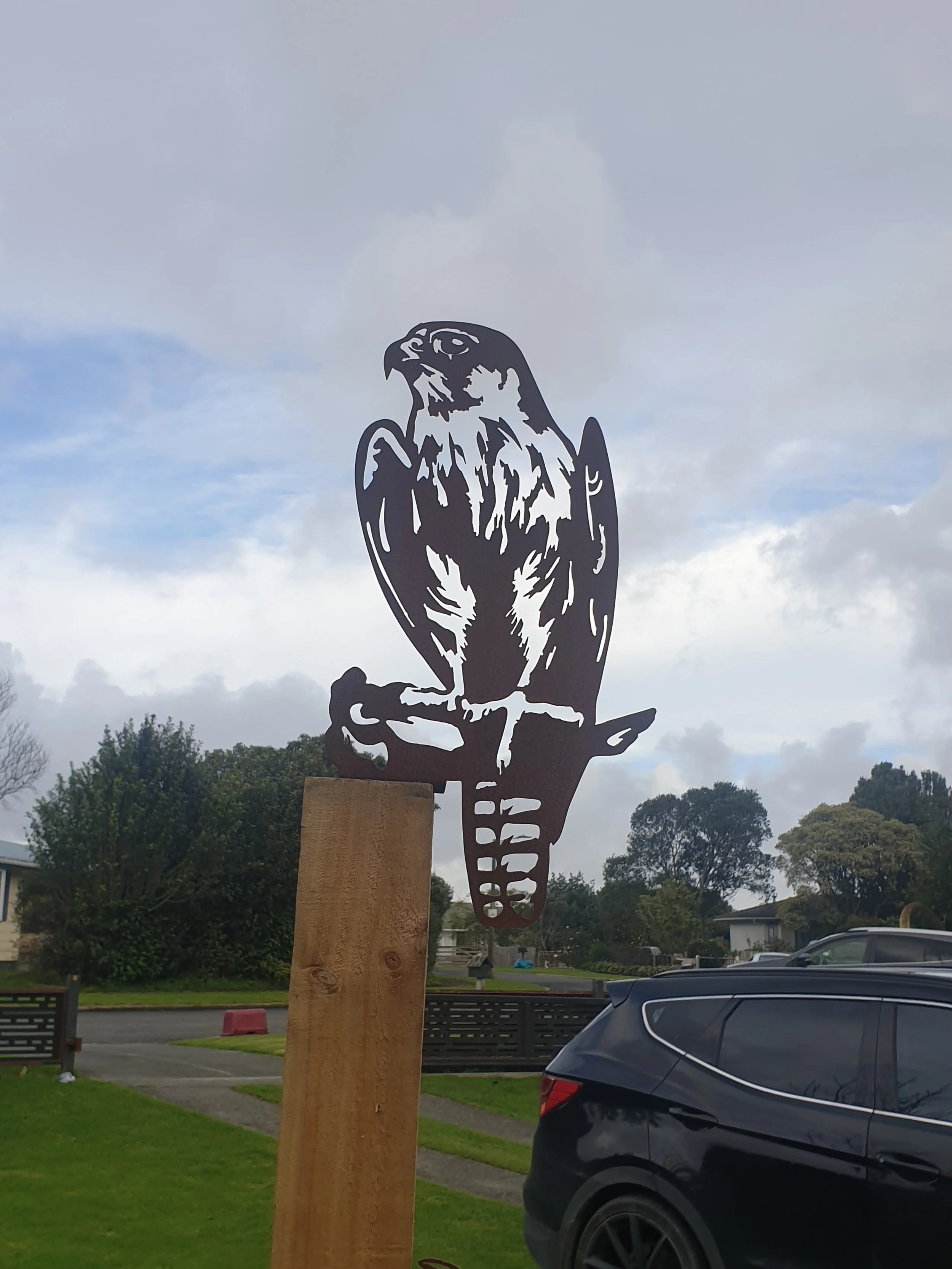 Dandelions — Steel Art NZ