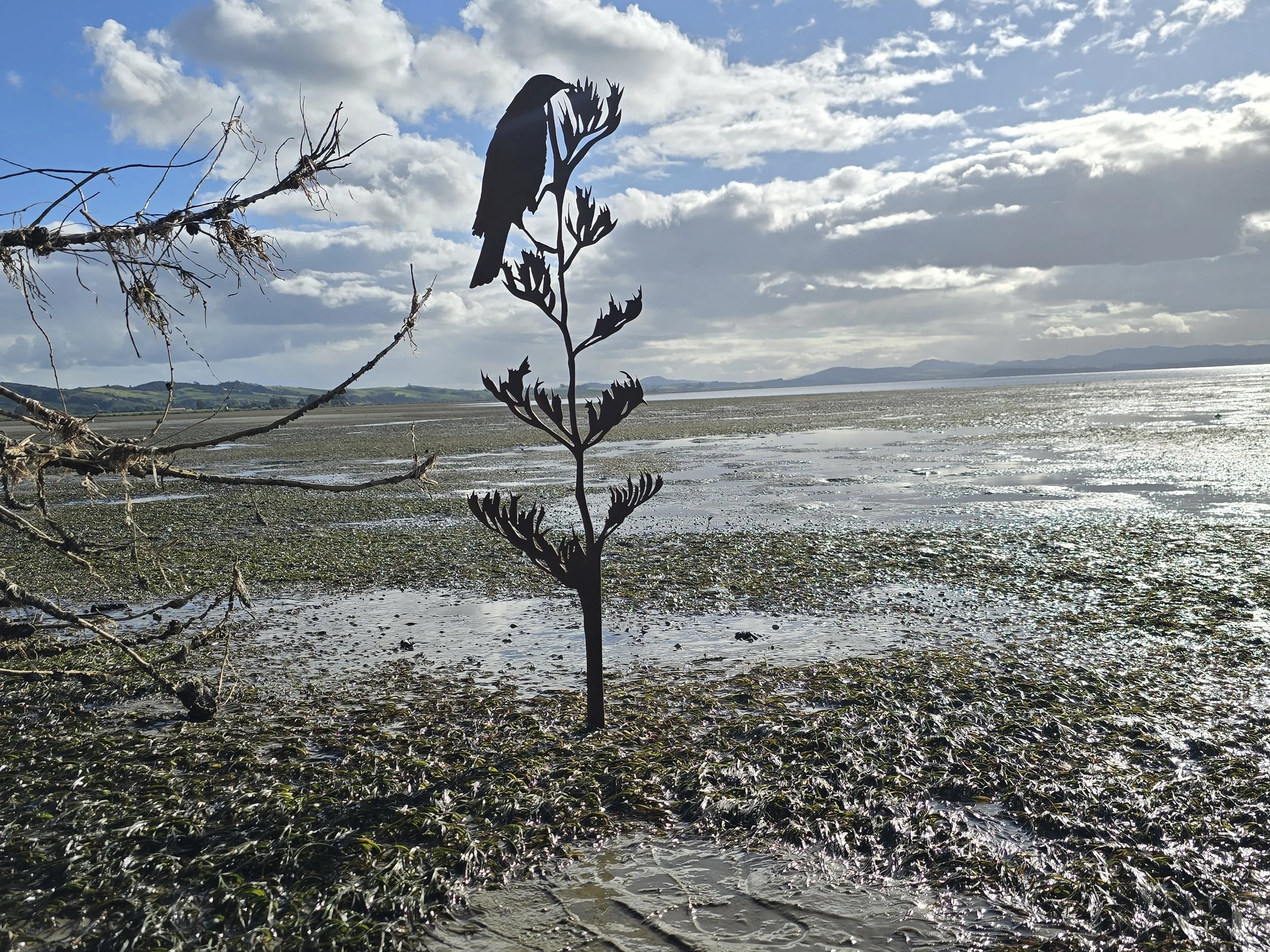Dandelions — Steel Art NZ