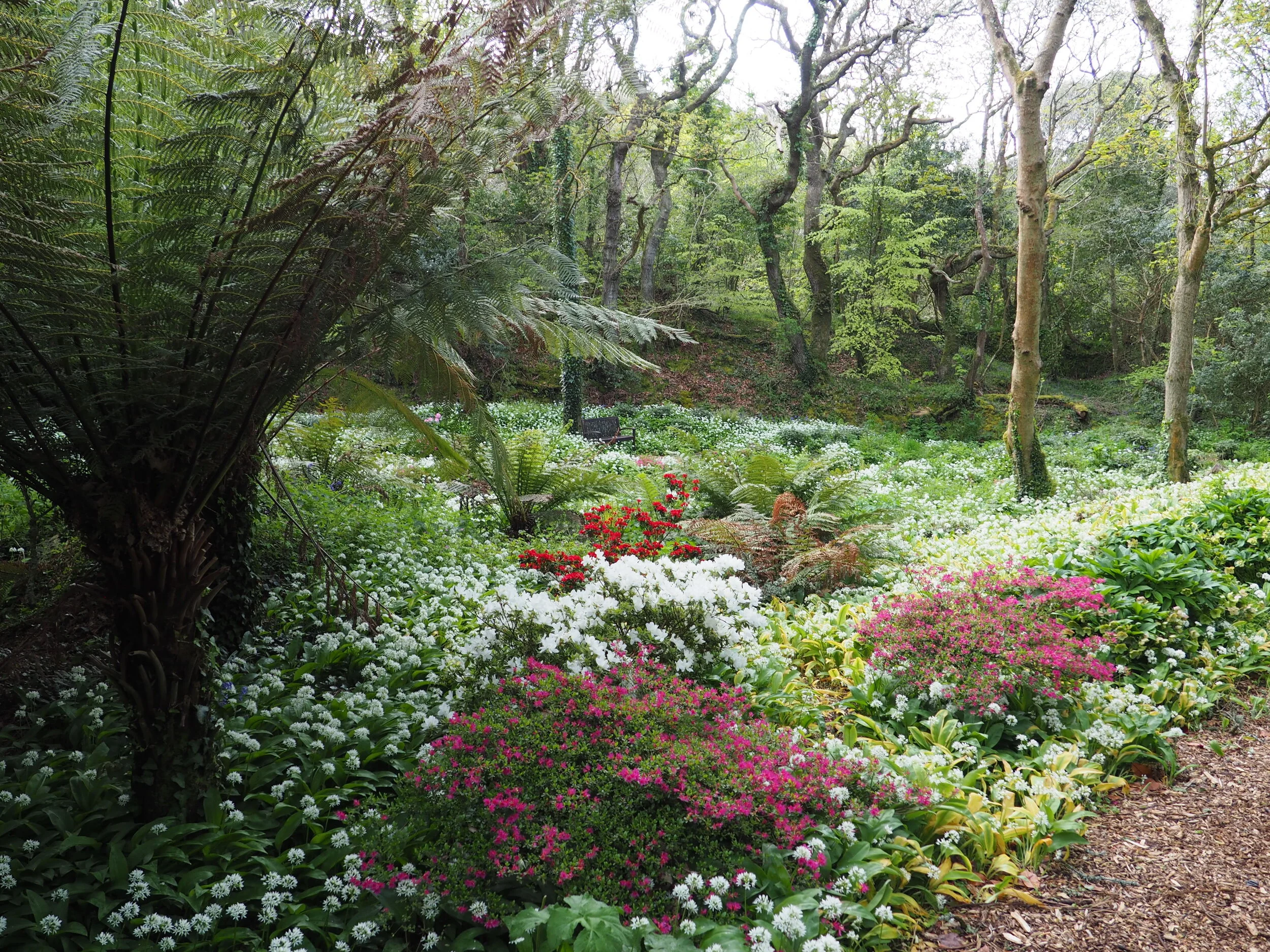 Valley Garden — Bonython Estate Gardens