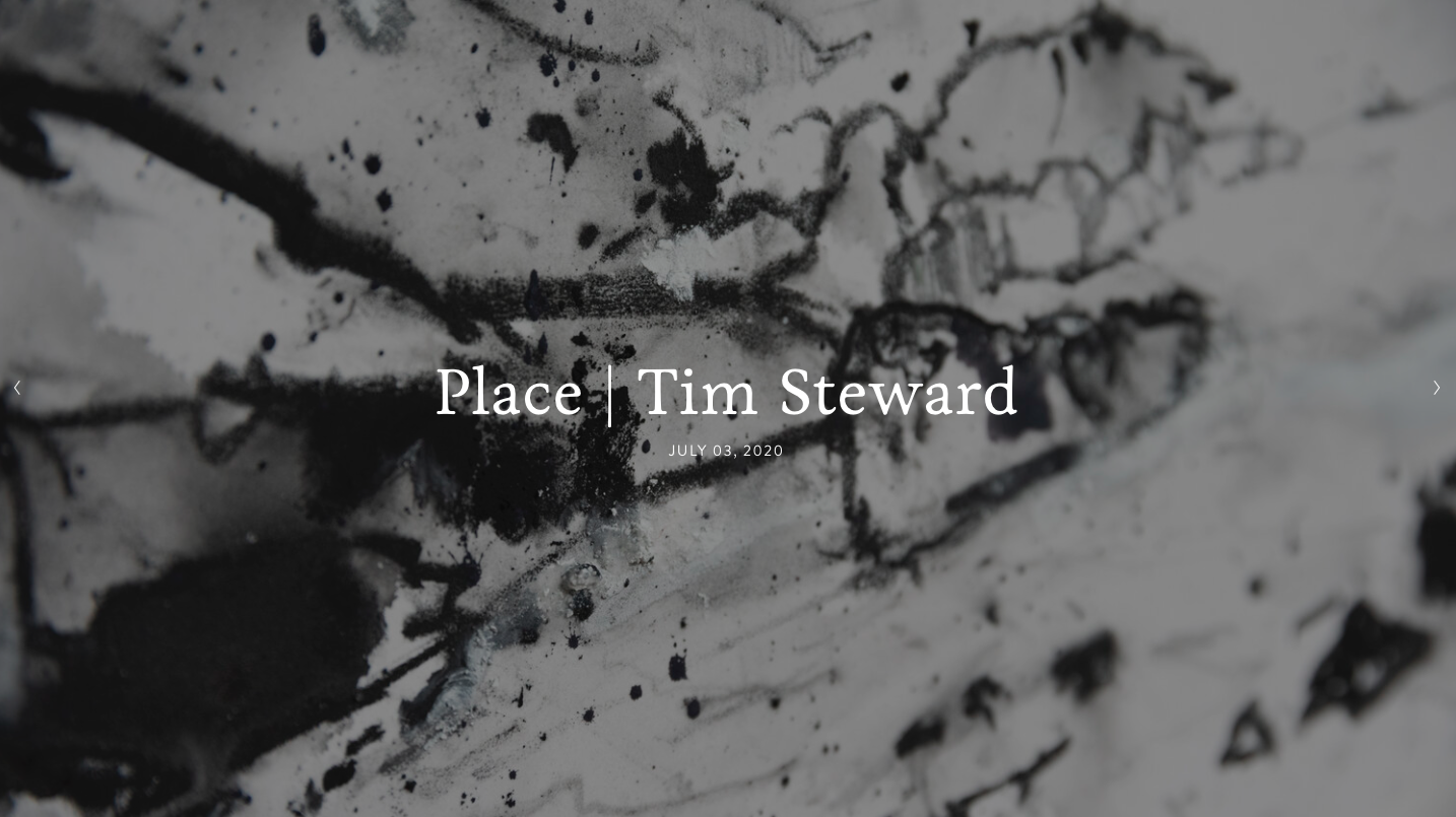 About Tim Steward — Tim Steward