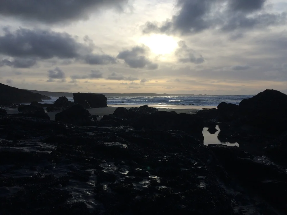 Contact Artist Tim Steward — Tim Steward