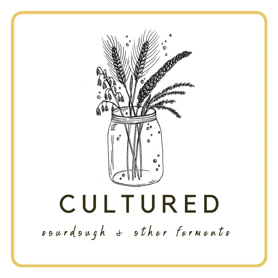 Cultured: Từ Điển Anh-Việt và Cách Sử Dụng Hiệu Quả