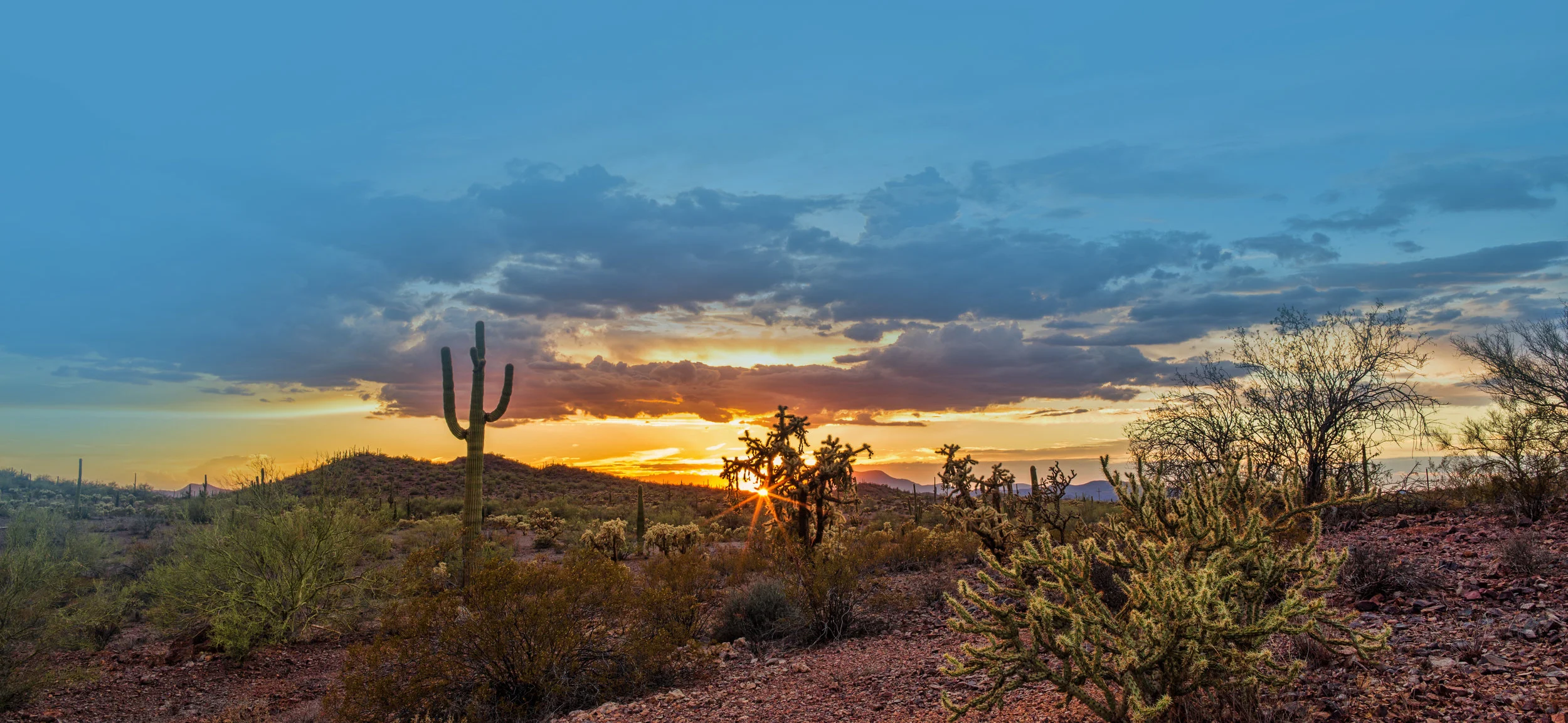 Green Business Support — Local First Arizona