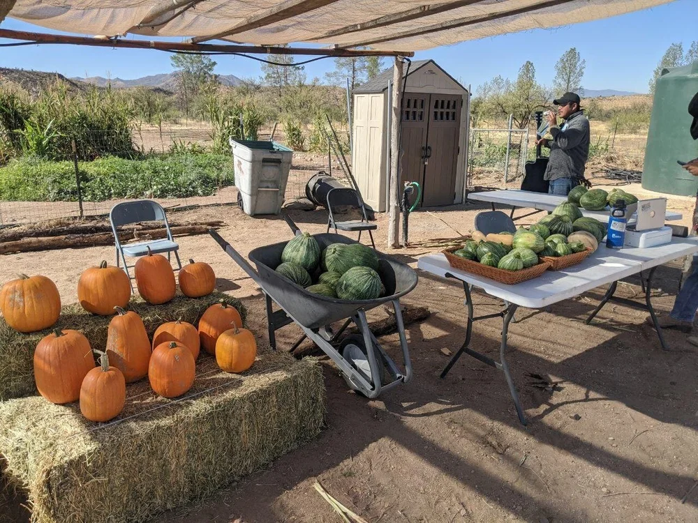 Growing Tribal Food Sovereignty Partnerships — Local First Arizona