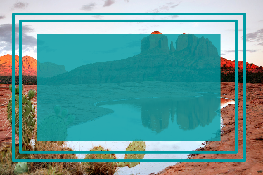 Green Business Boot Camp — Local First Arizona