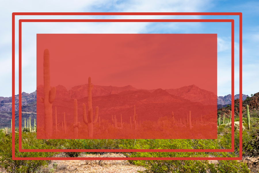 Green Business Boot Camp — Local First Arizona