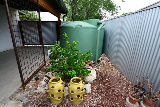 How to turn your home into a lush desert oasis – and water it for free ...