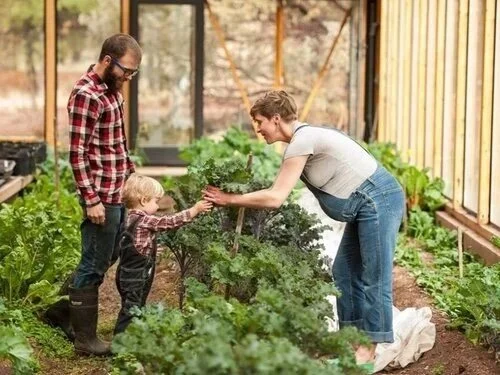 A Solar Array and a Bridge Loan Build Resiliency for a Flagstaff Farm ...