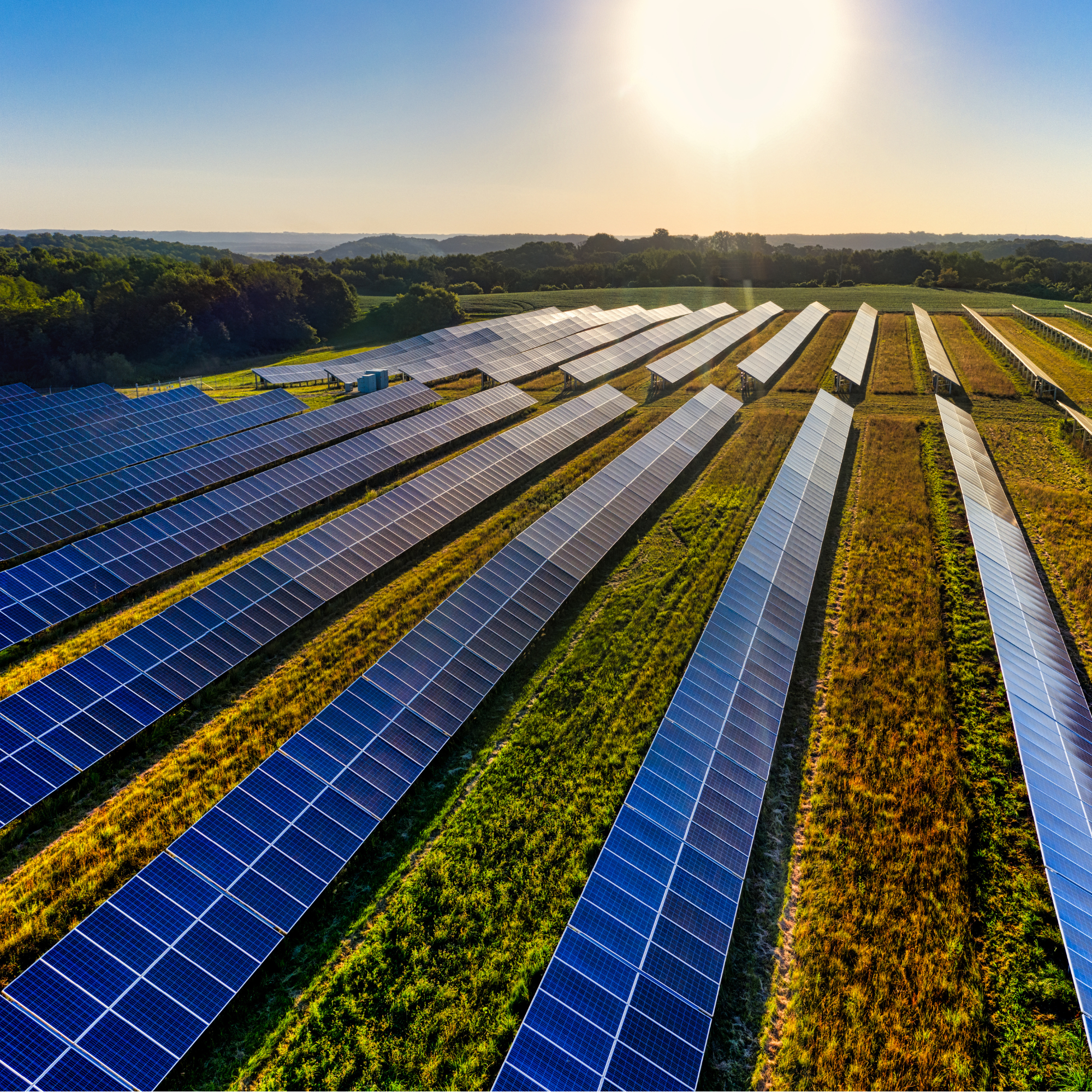A Solar Array and a Bridge Loan Build Resiliency for a Flagstaff Farm ...