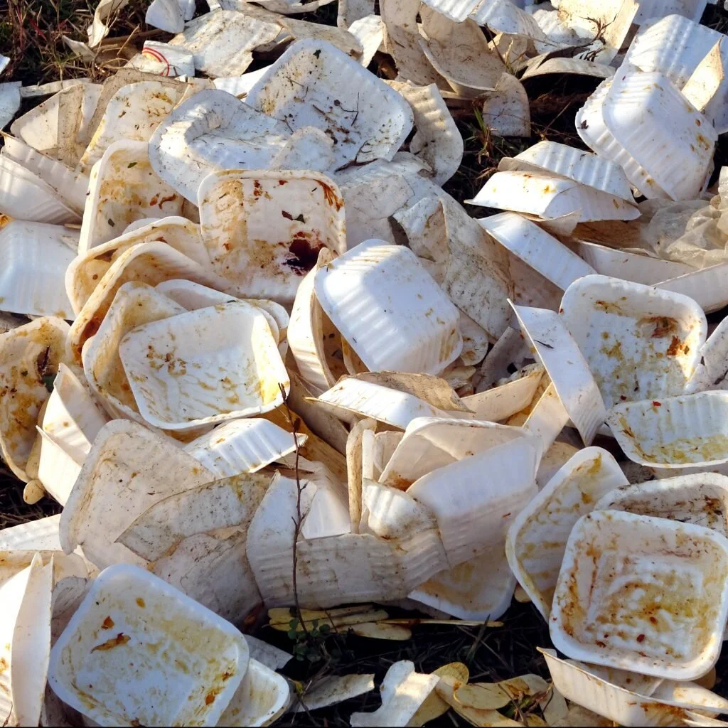 Plastic Pollution Fact Sheets — Beyond Plastics - Working To End Single ...