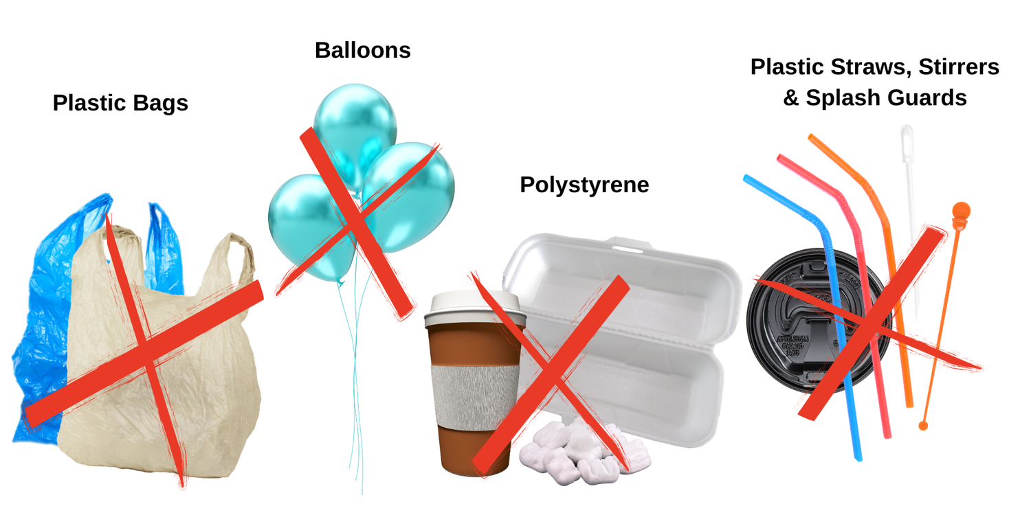 Want Your Campus or Workplace to Go Plastic-Free? Start Here! — Beyond ...