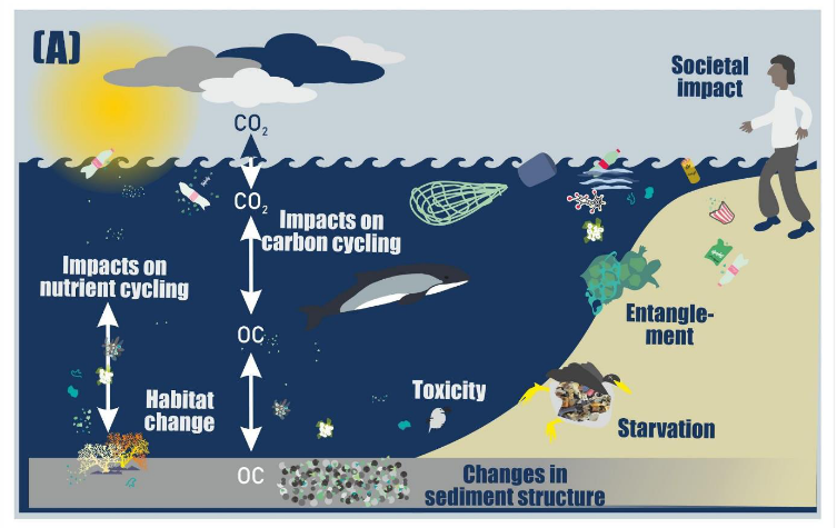 Path of Toxic Pollution — Beyond Plastics - Working To End Single-Use ...