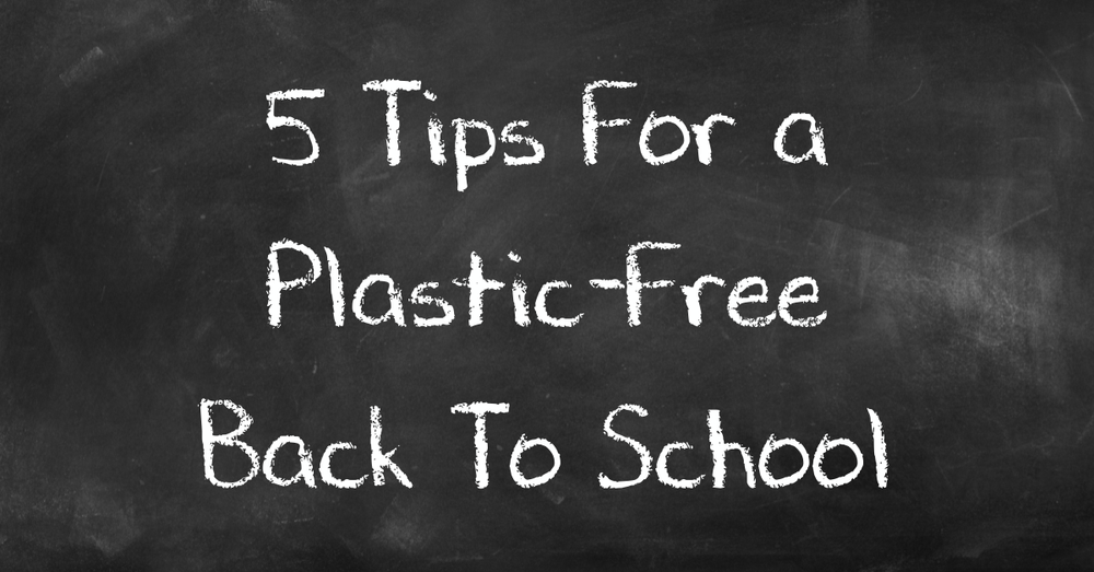 Beyond Plastics - Working To End Single-Use Plastic Pollution