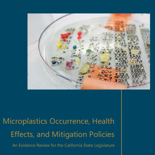 Learn about plastic pollution;s sources, impacts & solutions — Beyond ...