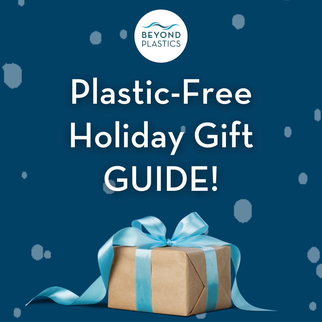 Blog 3 — Beyond Plastics - Working To End Single-Use Plastic Pollution