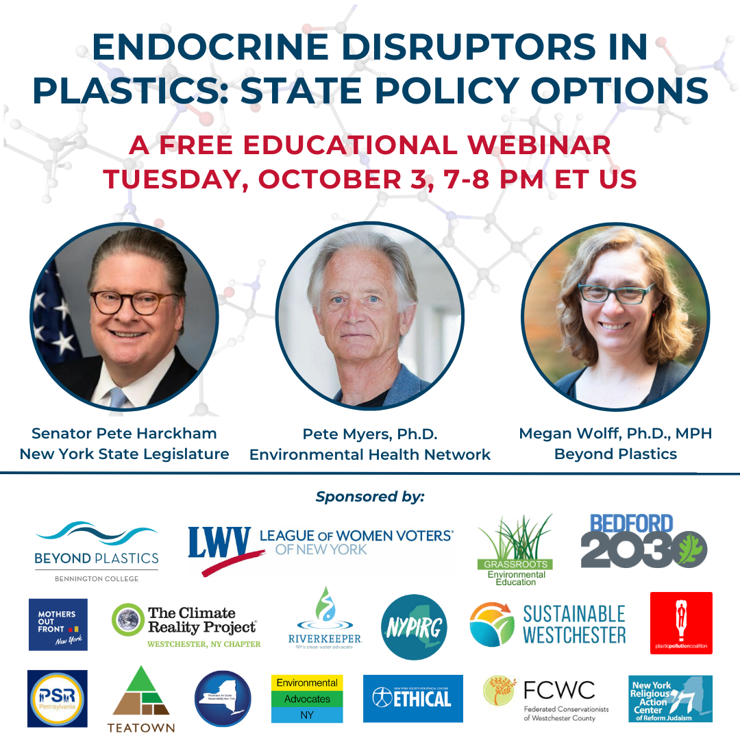 Endocrine Disruptors in Plastics: State Policy Options — Beyond ...