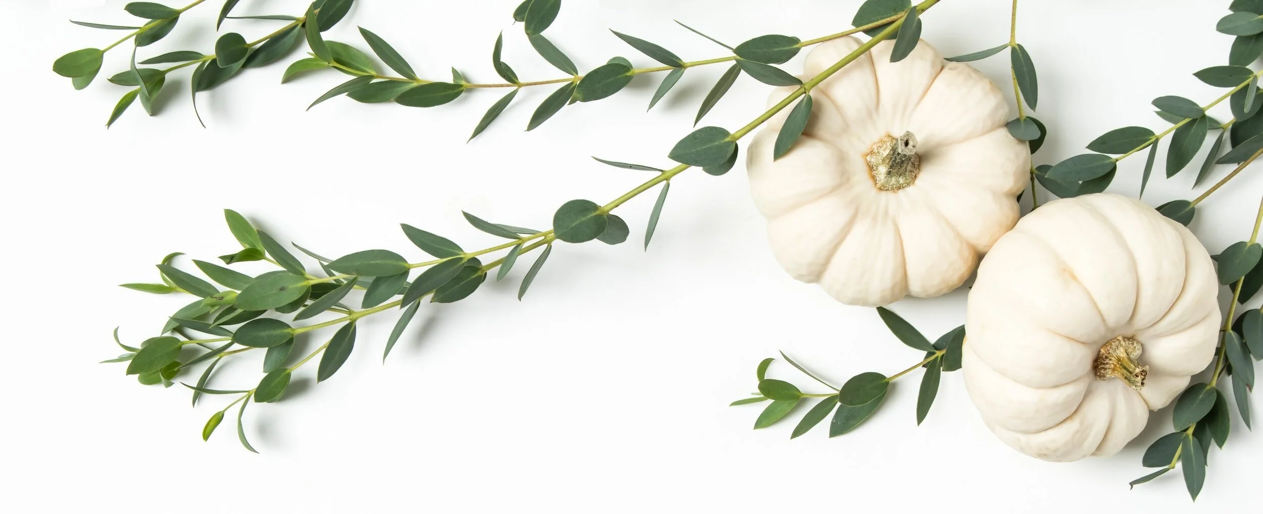 6 Steps to a Plastic-Free Holiday Dinner — Beyond Plastics - Working To ...