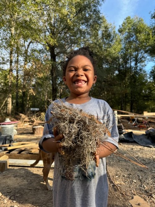 🔨Learning Bioconstruction with Habitat Recovery Project in LA🌳 — Beyond Plastics - Working To ...
