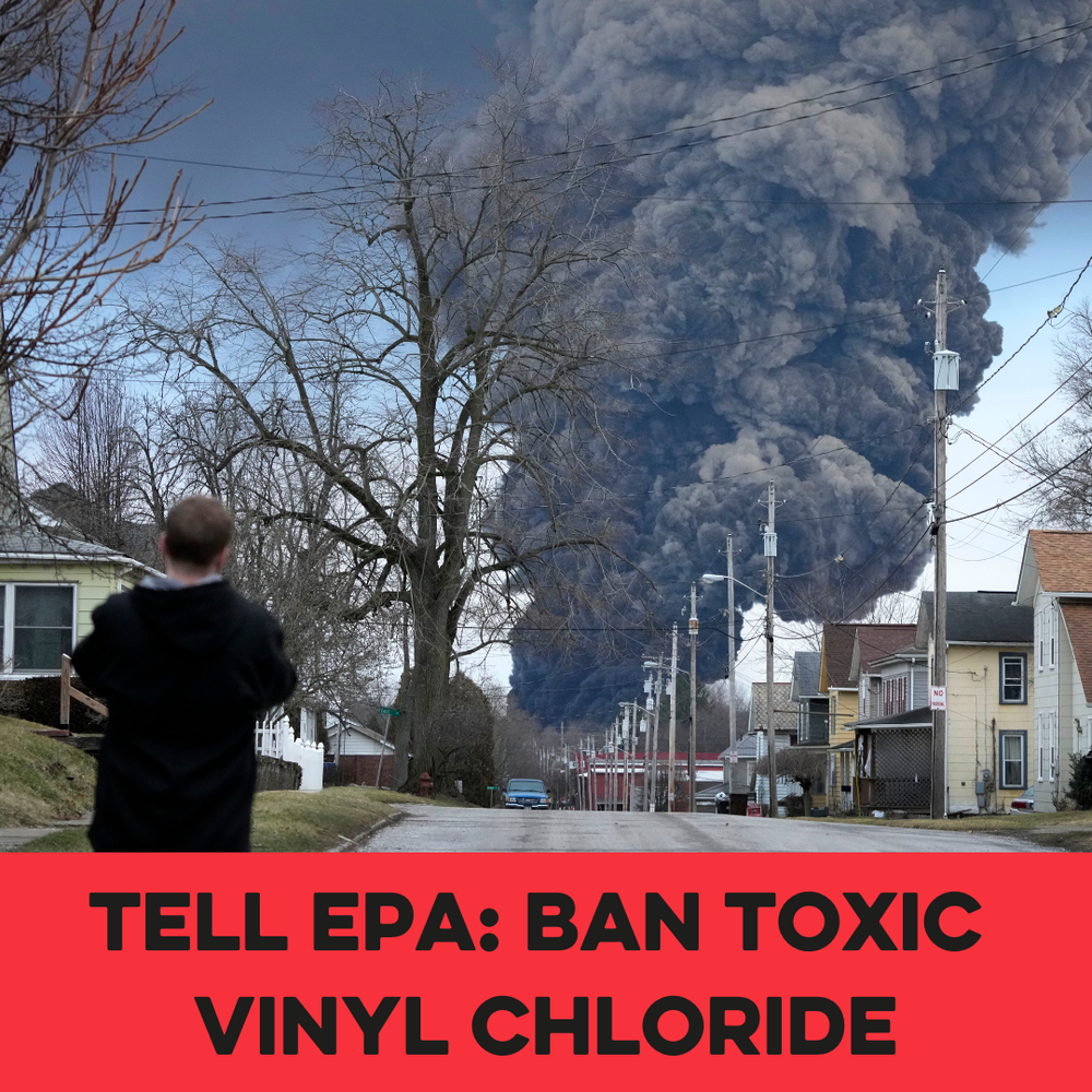 Ban — Beyond Plastics - Working To End Single-Use Plastic Pollution