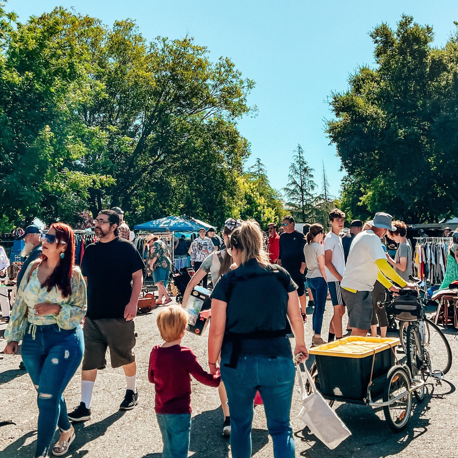 Photo Gallery — SAF - Official Website