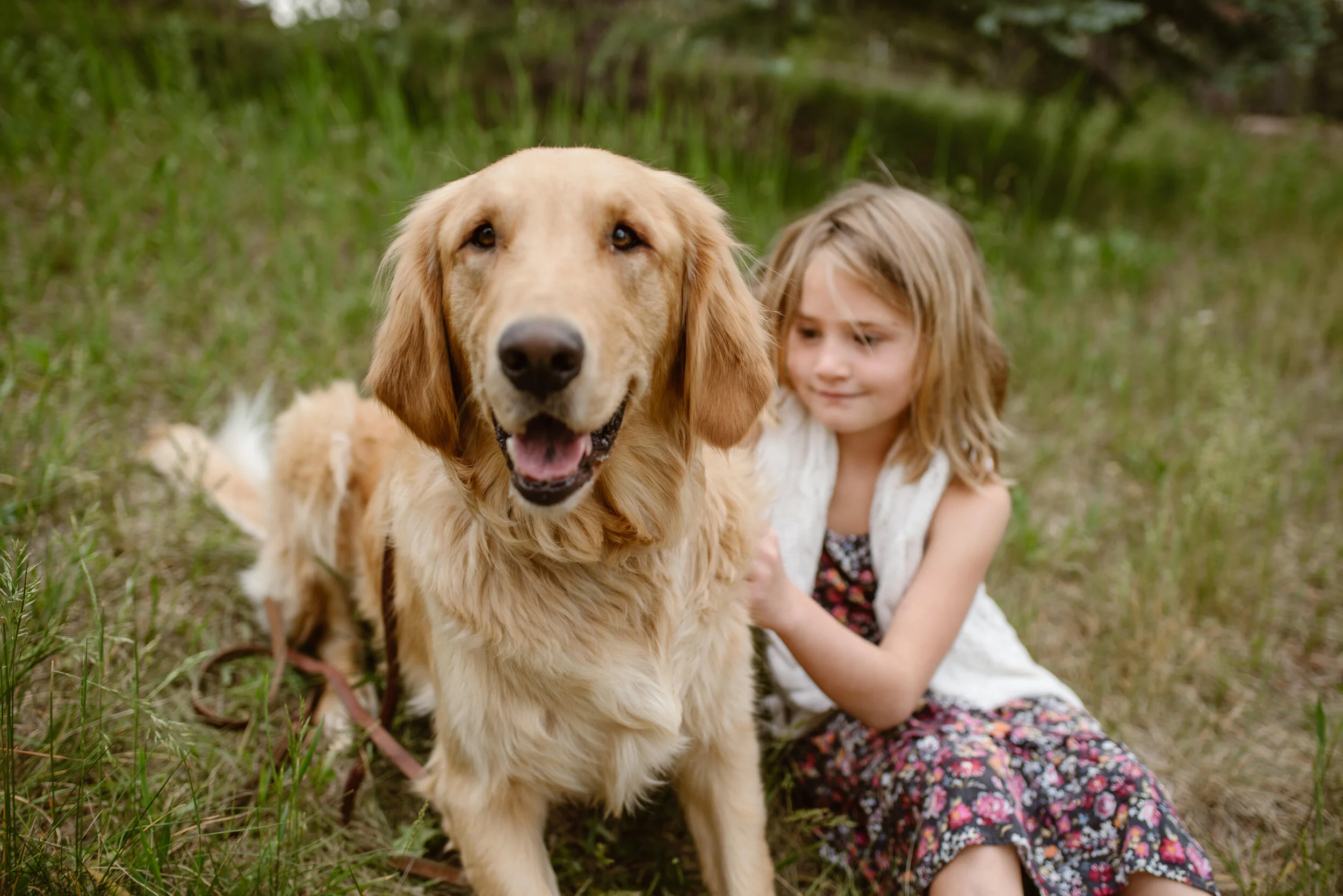 Meet Our Team — Fox Run Veterinary Hospital